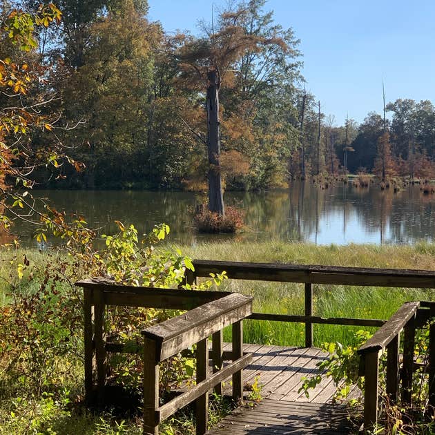 Dewayne Hayes Campground | Columbus, Mississippi