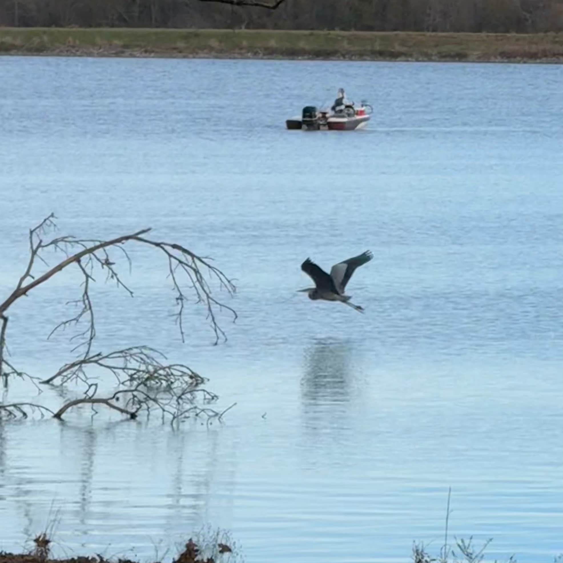 Lake Lincoln State Park Campground | Wesson, Mississippi