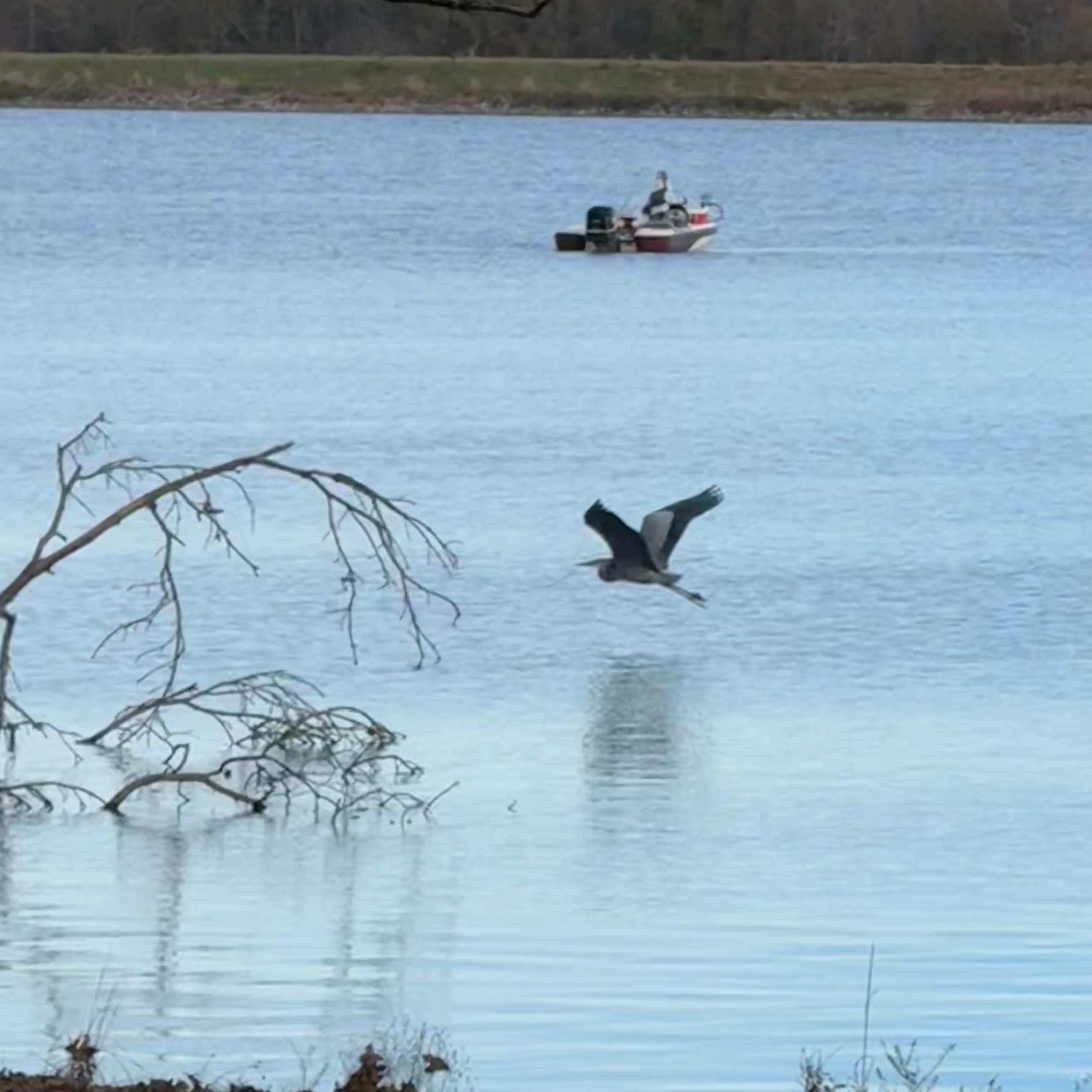 Lake Lincoln State Park Campground | Wesson, Mississippi