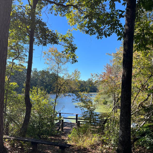 Lake Perry Campground | Beaumont, Mississippi