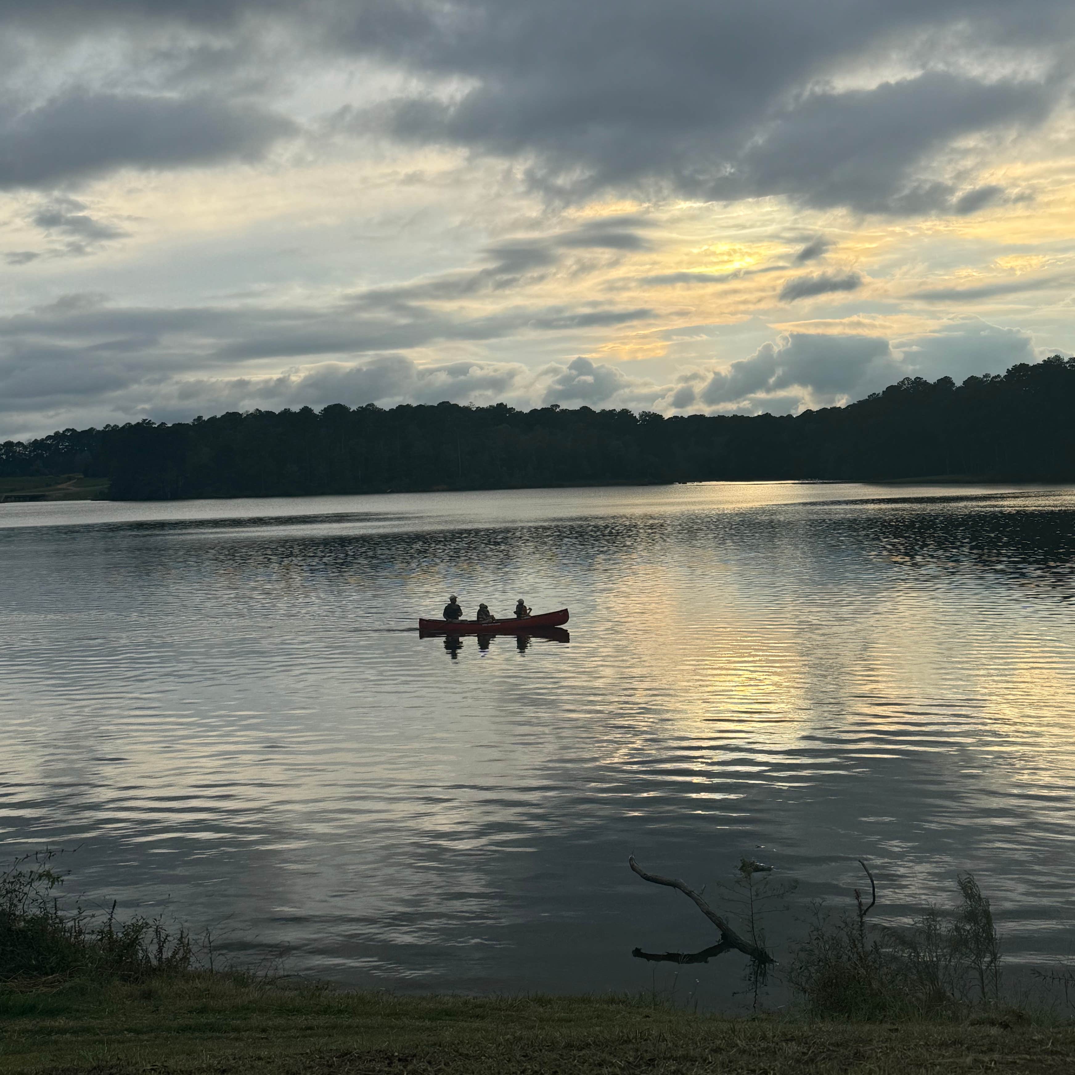 Percy Quin State Park Campground | McComb, Mississippi