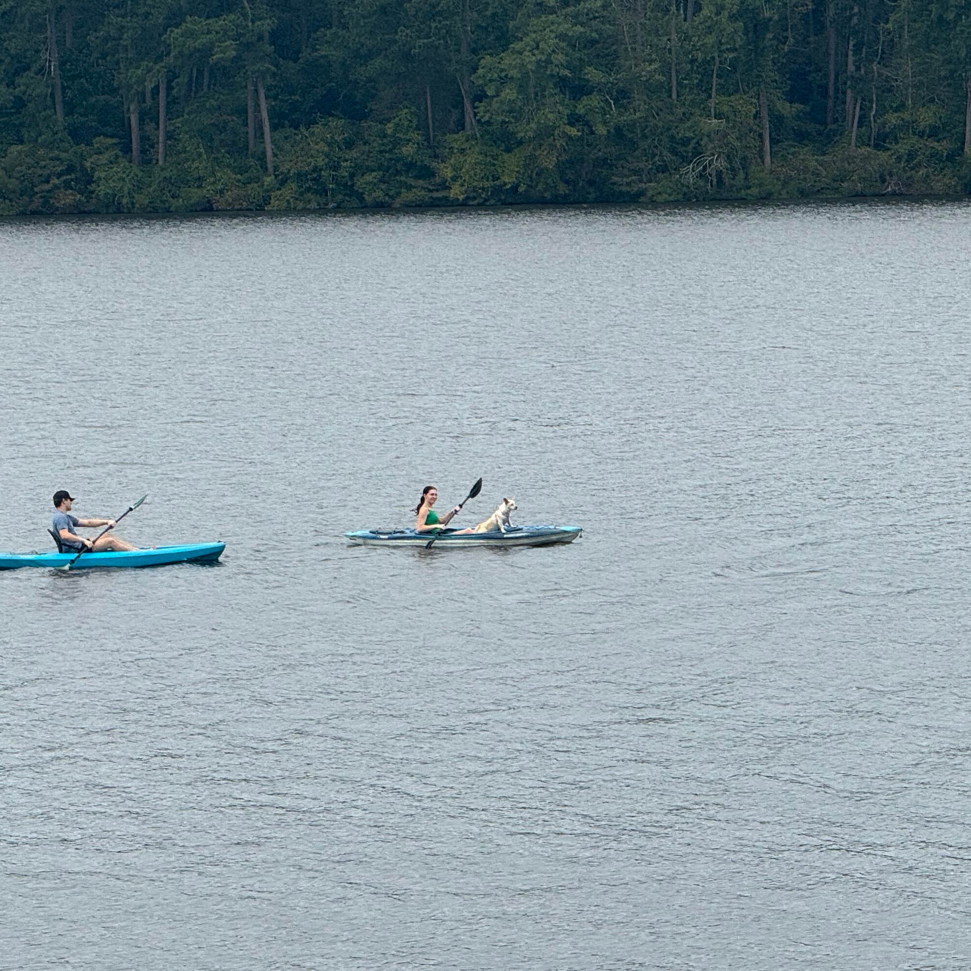 Percy Quin State Park Campground | McComb, Mississippi