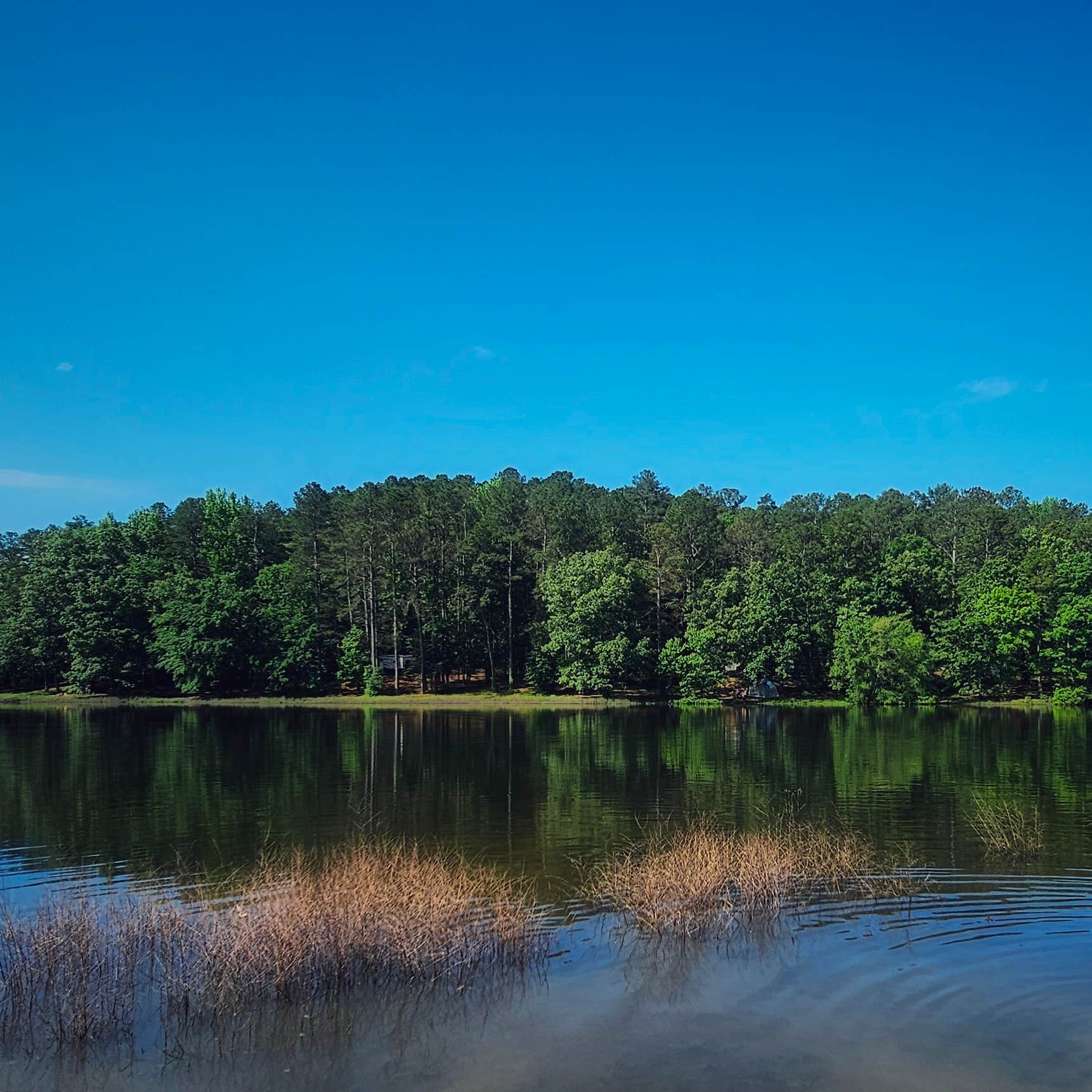 Tishomingo State Park Campground | Tishomingo, Mississippi