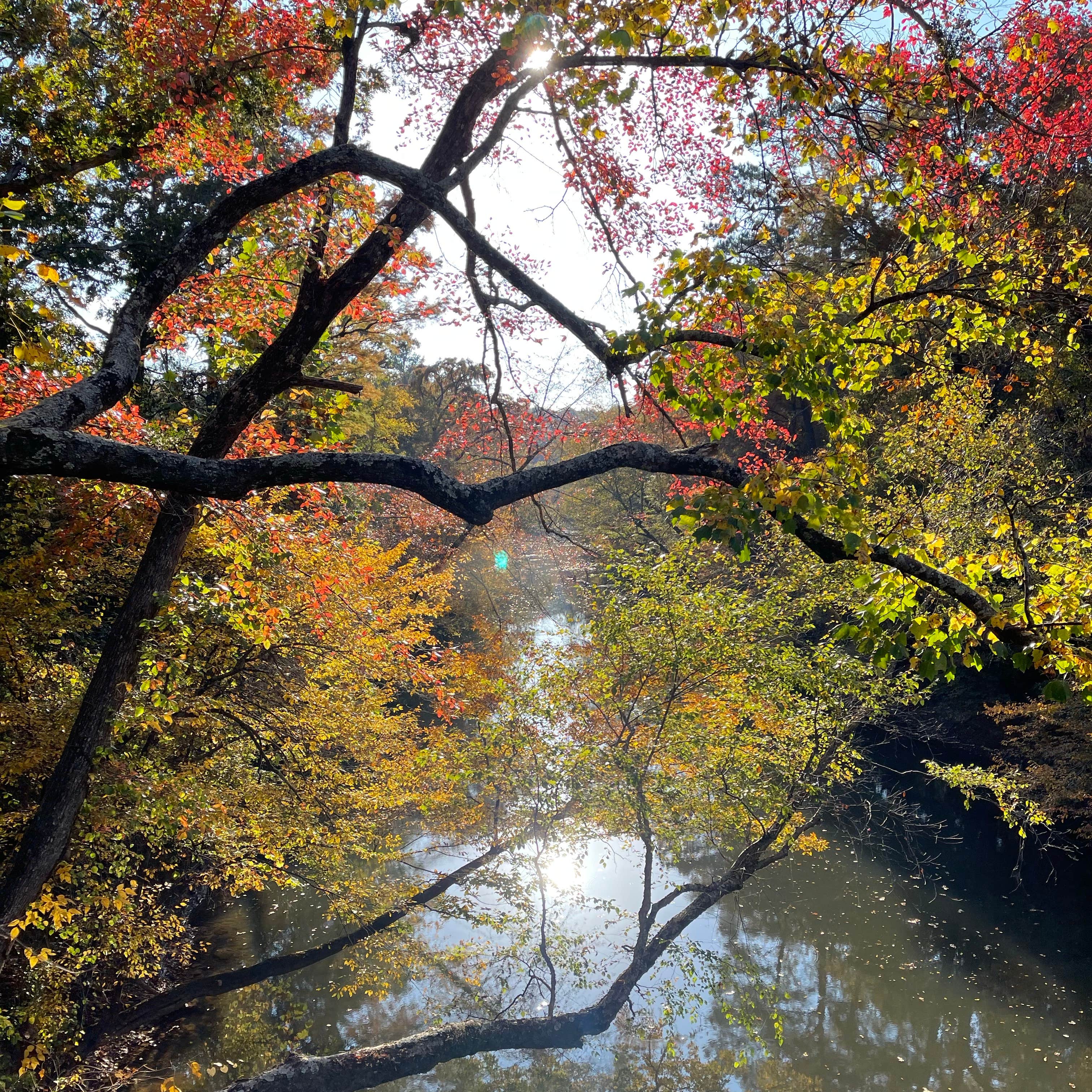 Tishomingo State Park Campground | Tishomingo, Mississippi