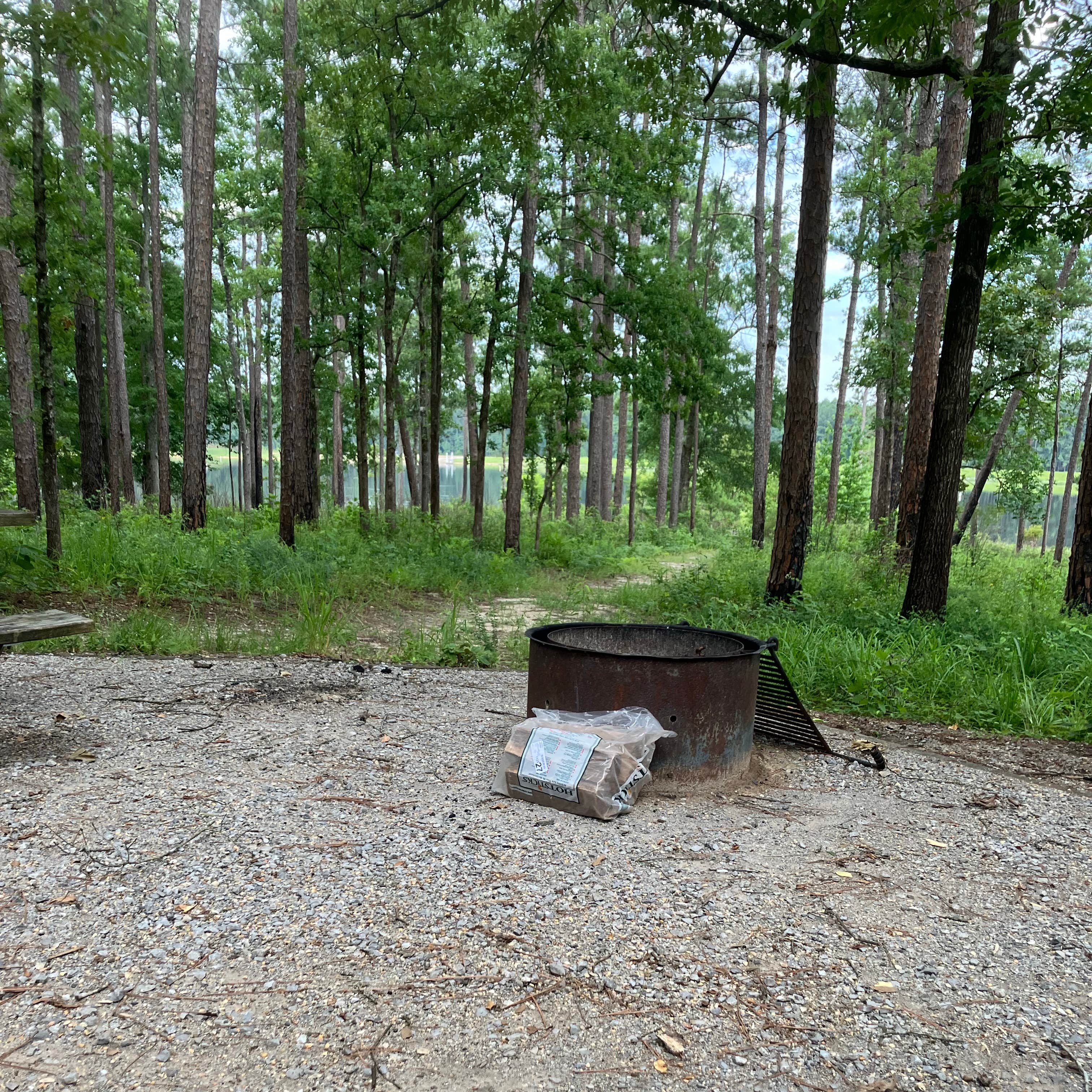 Turkey Fork Rec Area Camping | Richton, Mississippi