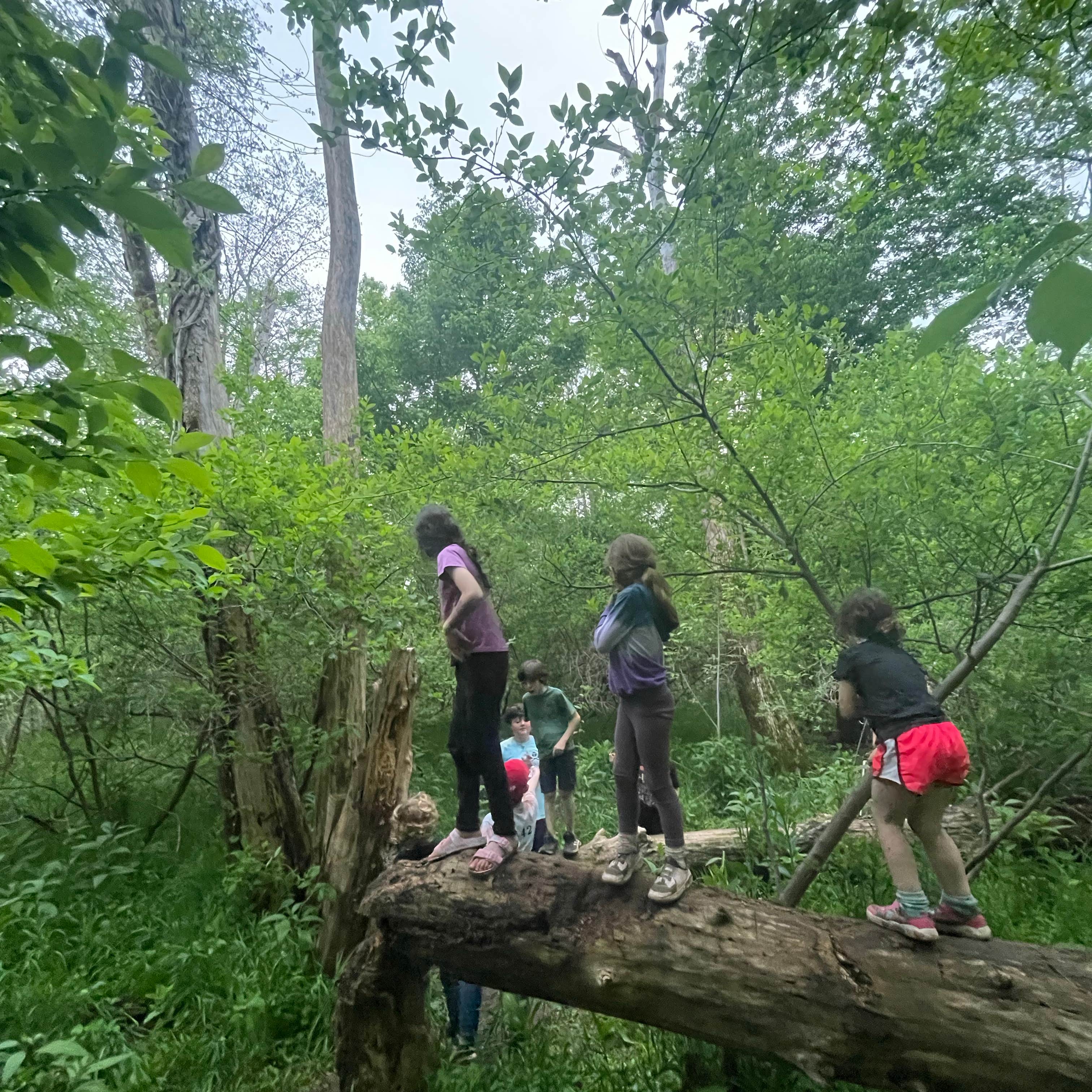 Meramec State Park Campground | Sullivan, Missouri