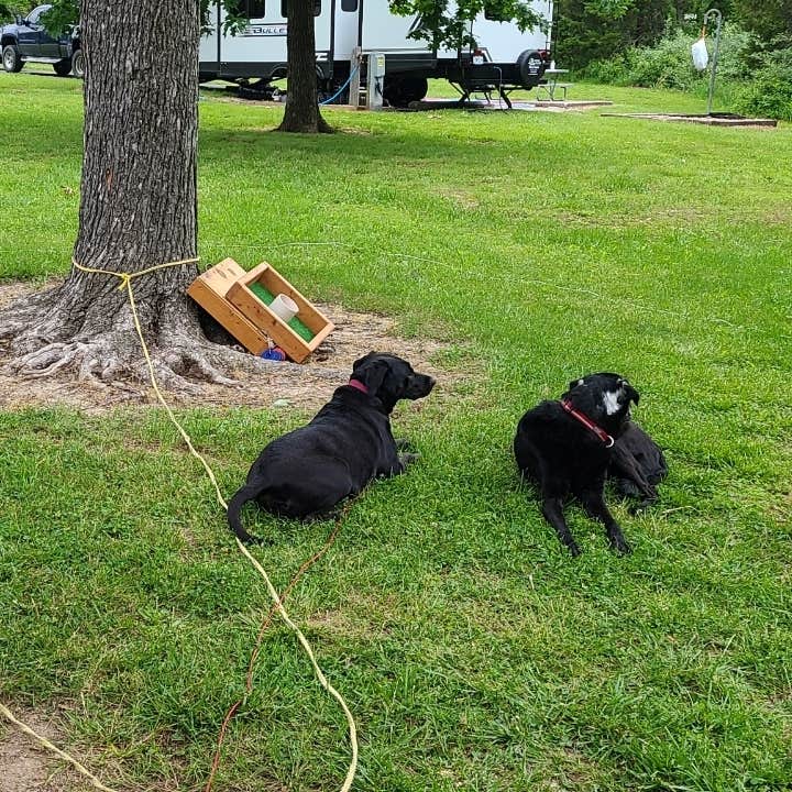 Ray Behrens Camping | Perry, Missouri