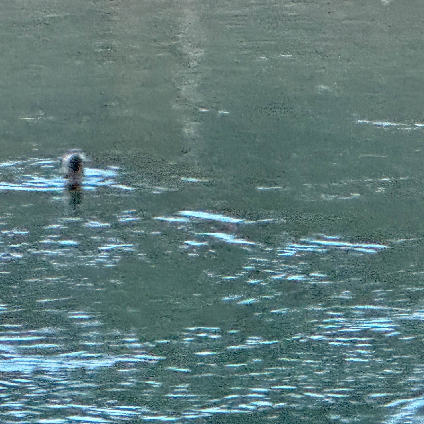 Round Spring Campground — Ozark National Scenic Riverway | Eminence ...