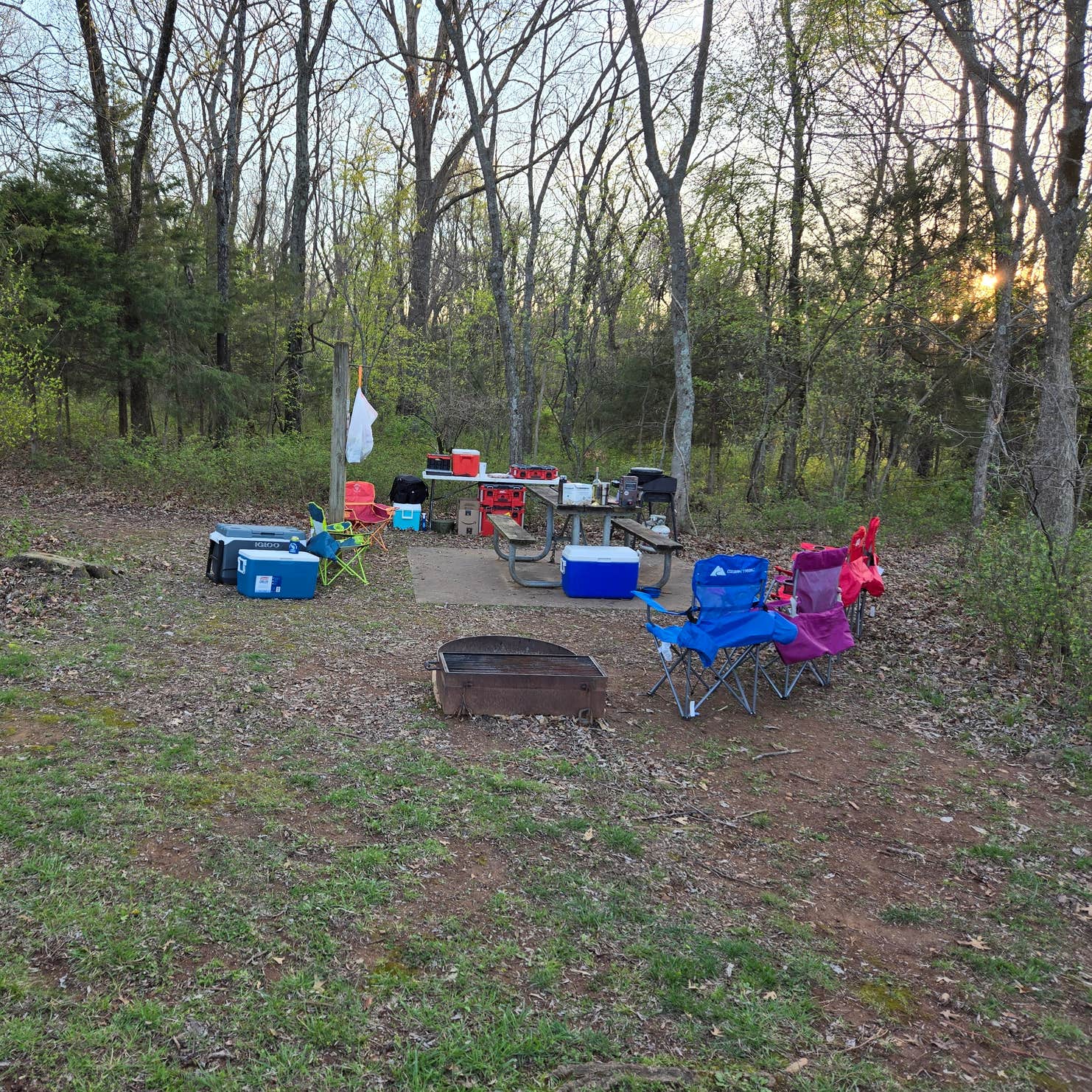 Stockton State Park Campground | Stockton, MO