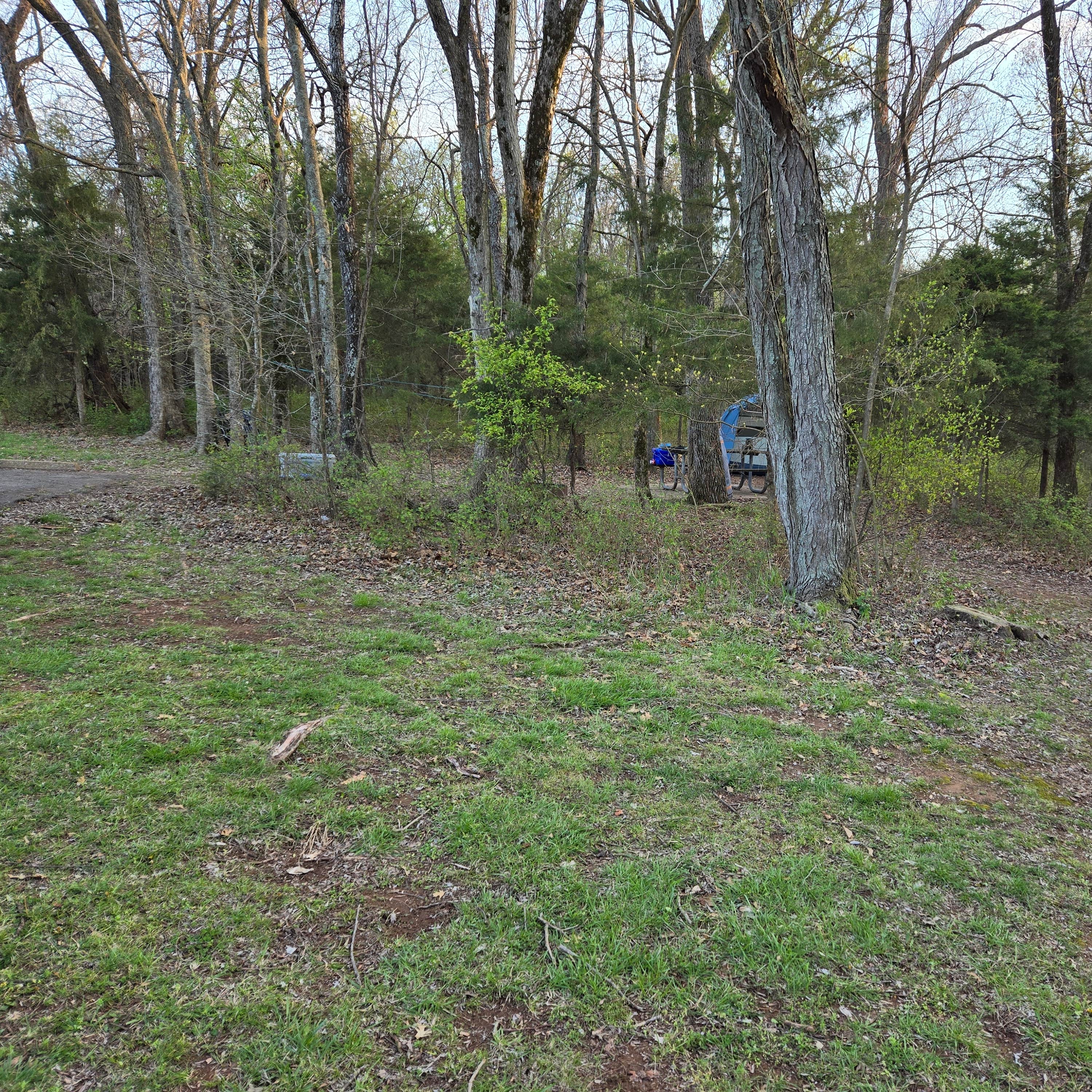 Stockton State Park Campground | Stockton, MO