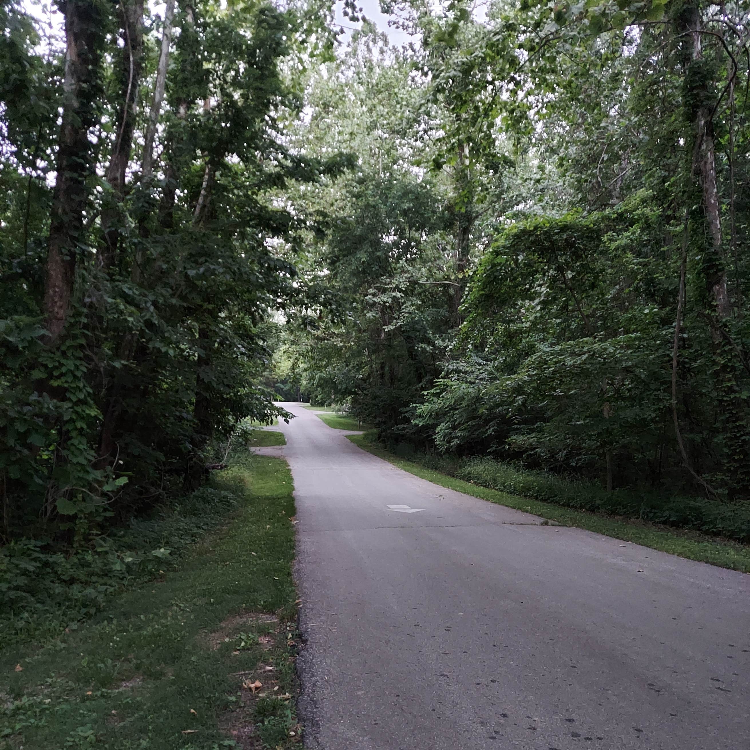 Weston Bend State Park Campground | Weston, Missouri