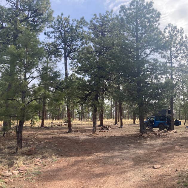 Mogollon Rimn Dispersed, AZ FR 9350 Camping | Kohls Ranch, Arizona