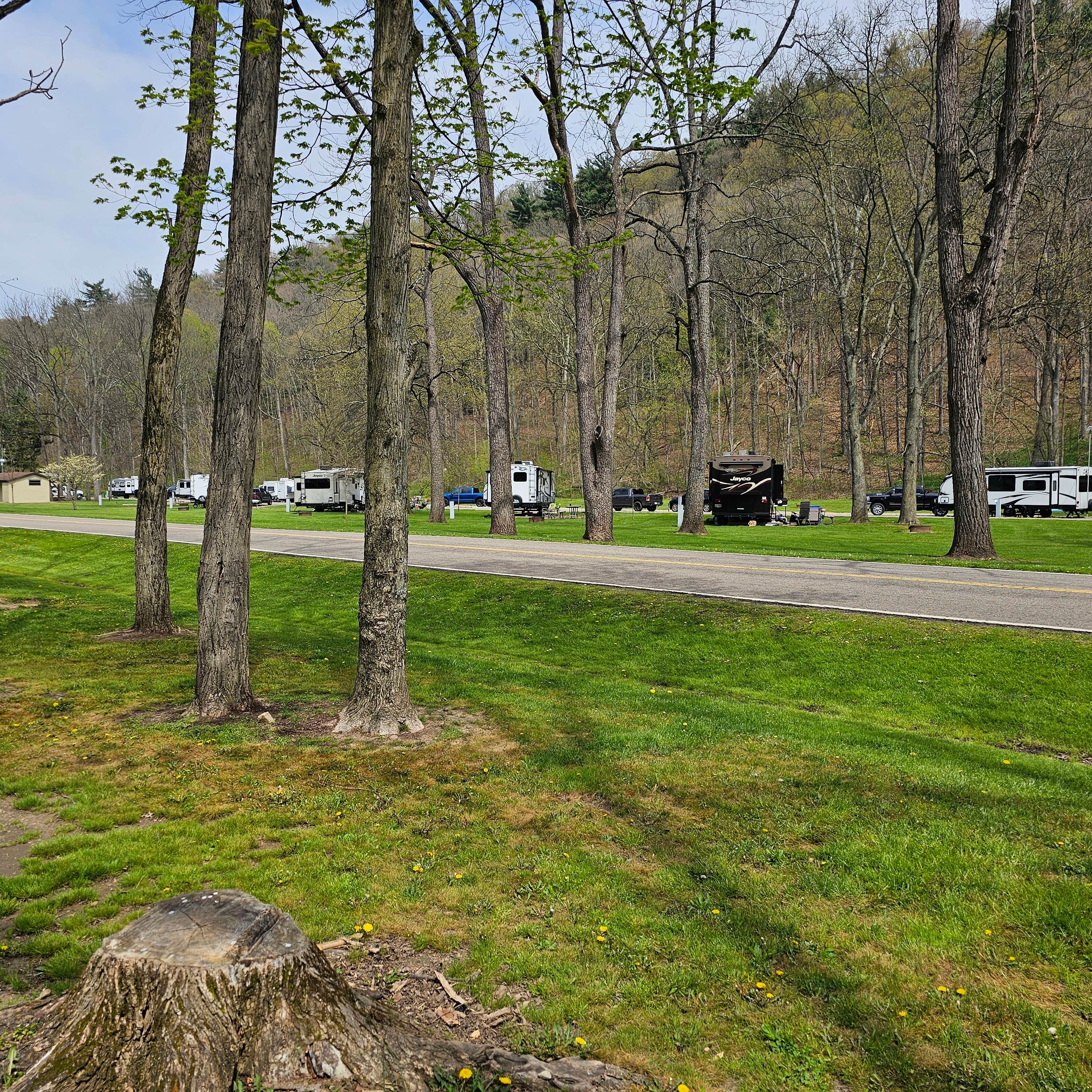 Mohican State Park Campground | Perrysville, Ohio