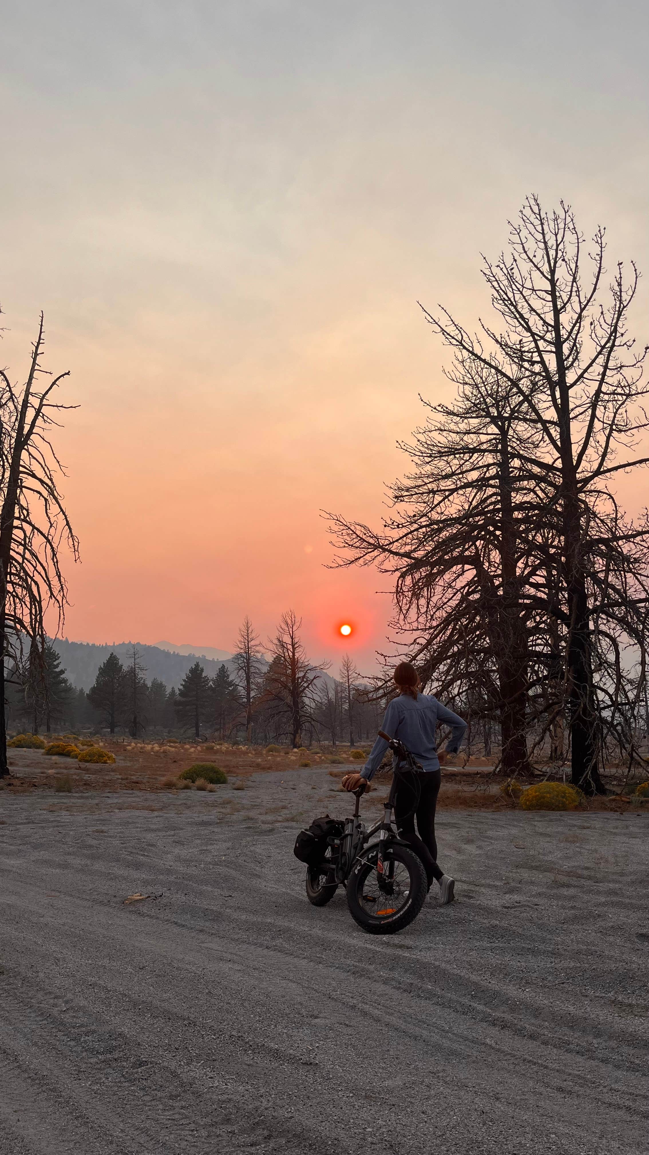 THE 10+ BEST Free Campsites near June Lake, CA