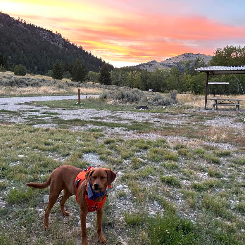 Divide Bridge Campground | Divide, MT