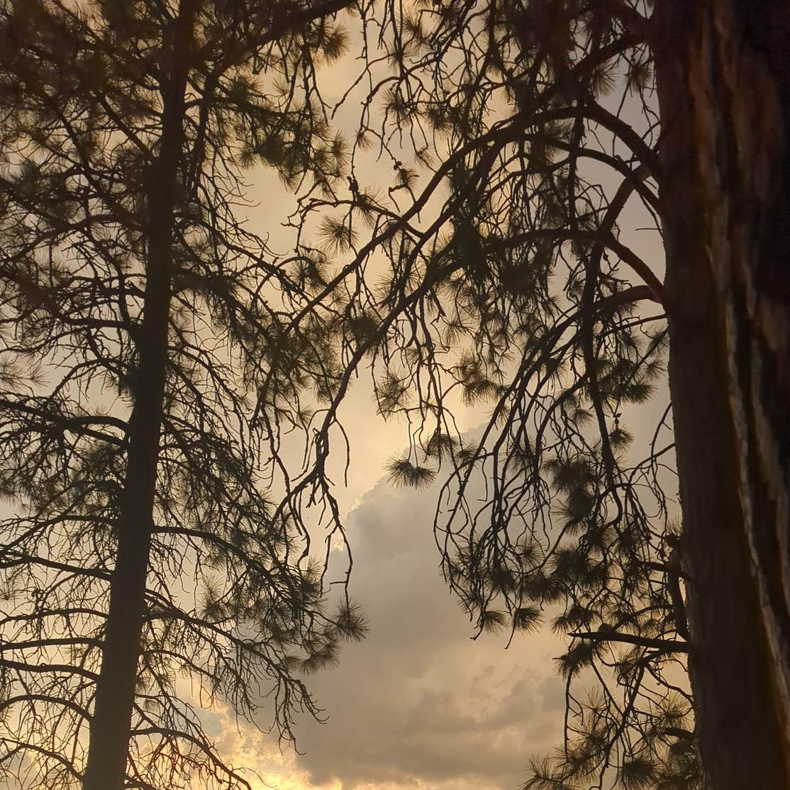 Finley Point Unit — Flathead Lake State Park Camping | Polson, Montana