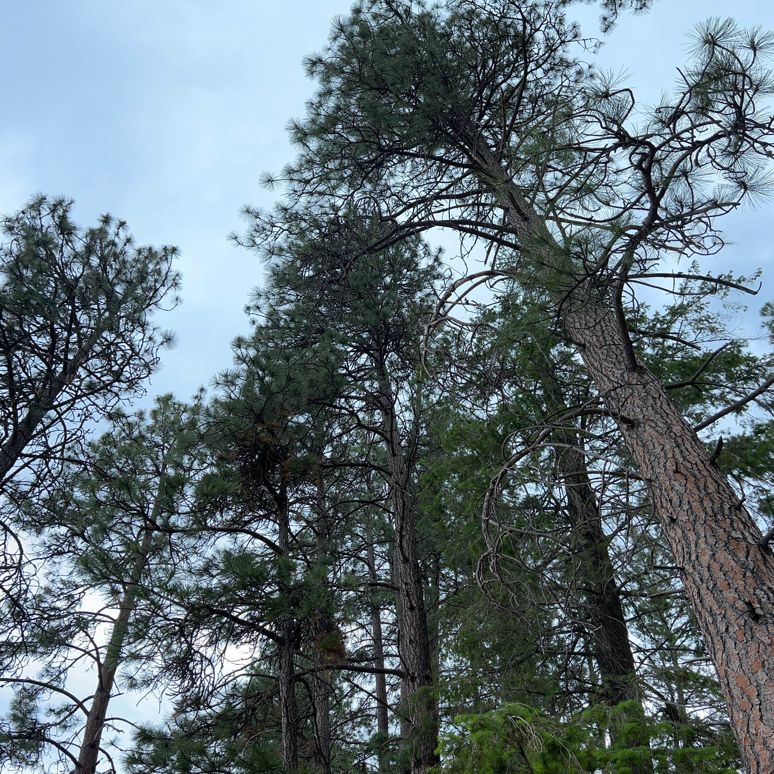 Finley Point Unit — Flathead Lake State Park Camping | Polson, MT