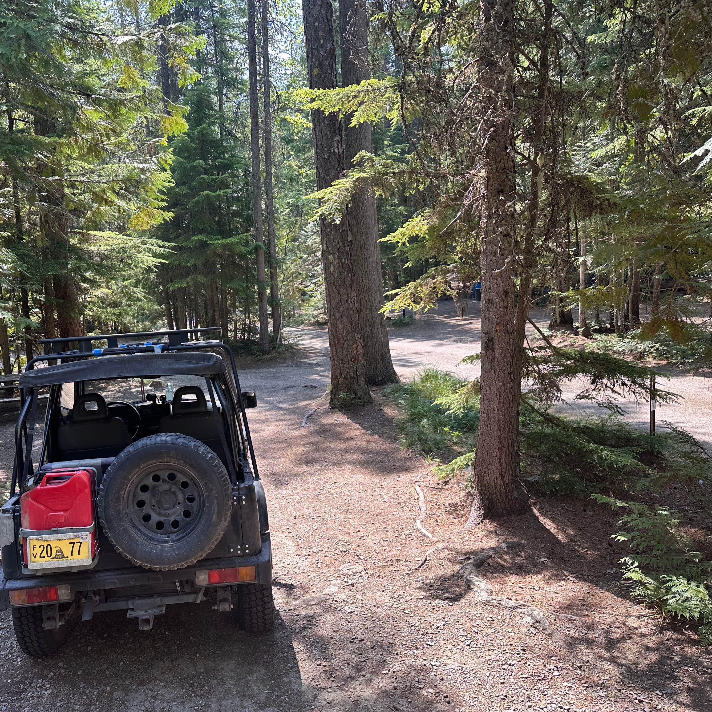 Fish Creek Campground — Glacier National Park | West Glacier, Montana