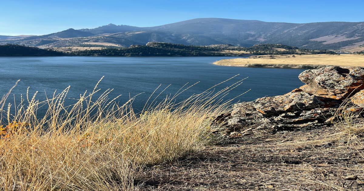 Camper-Submitted Photos of Log Gulch Recreation Site