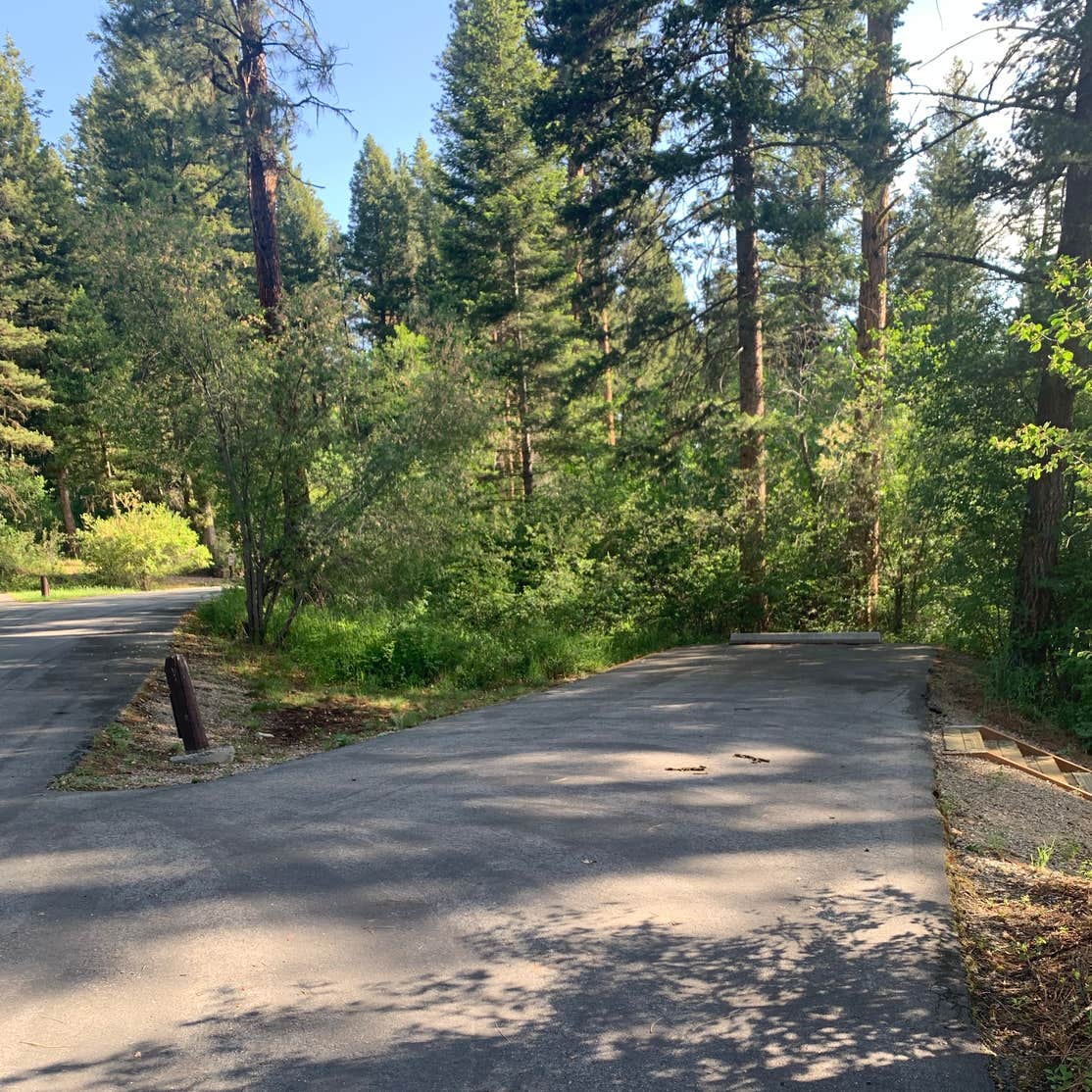 Indian Trees Campground | Sula, Montana