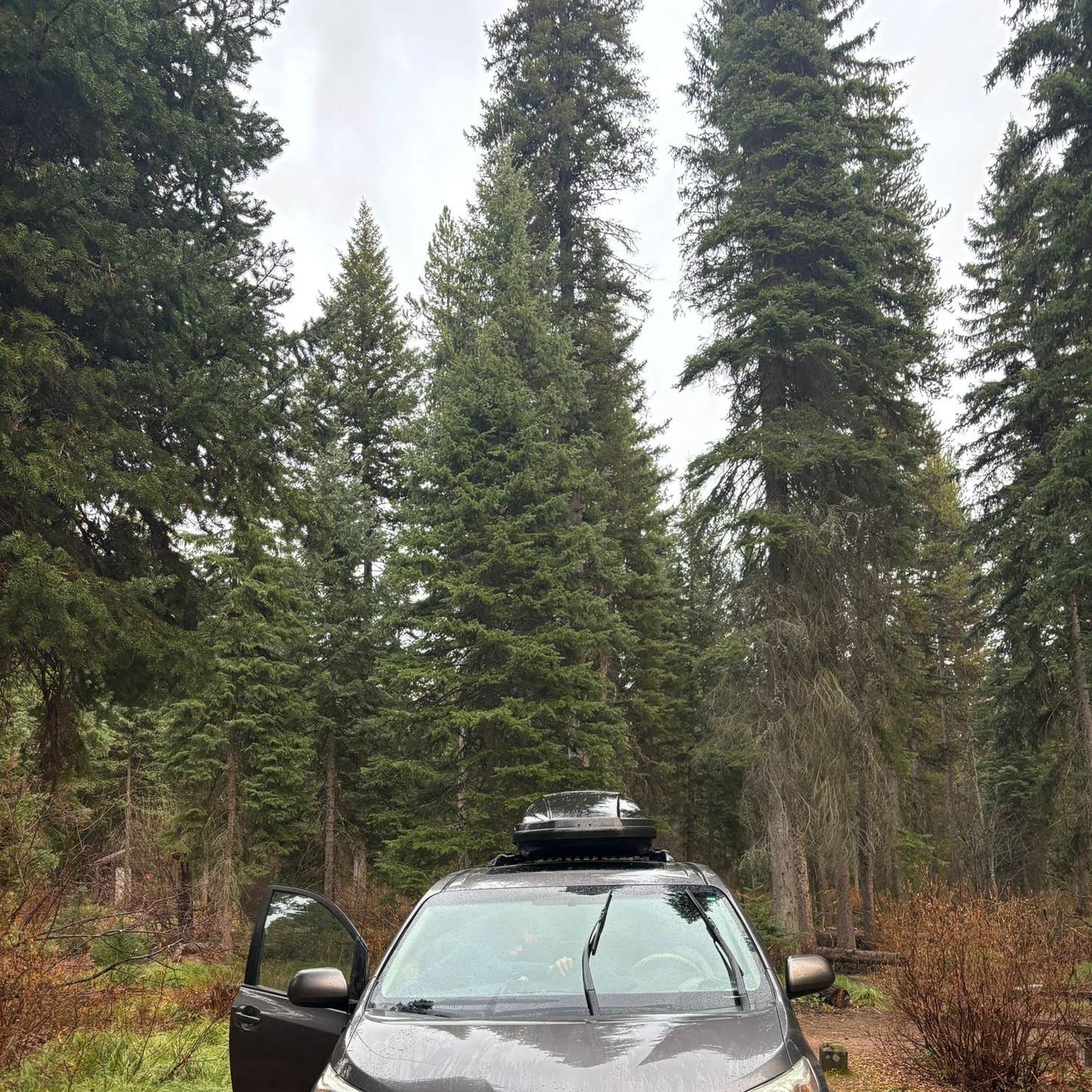 Lake Alva Campground | Seeley Lake, Montana