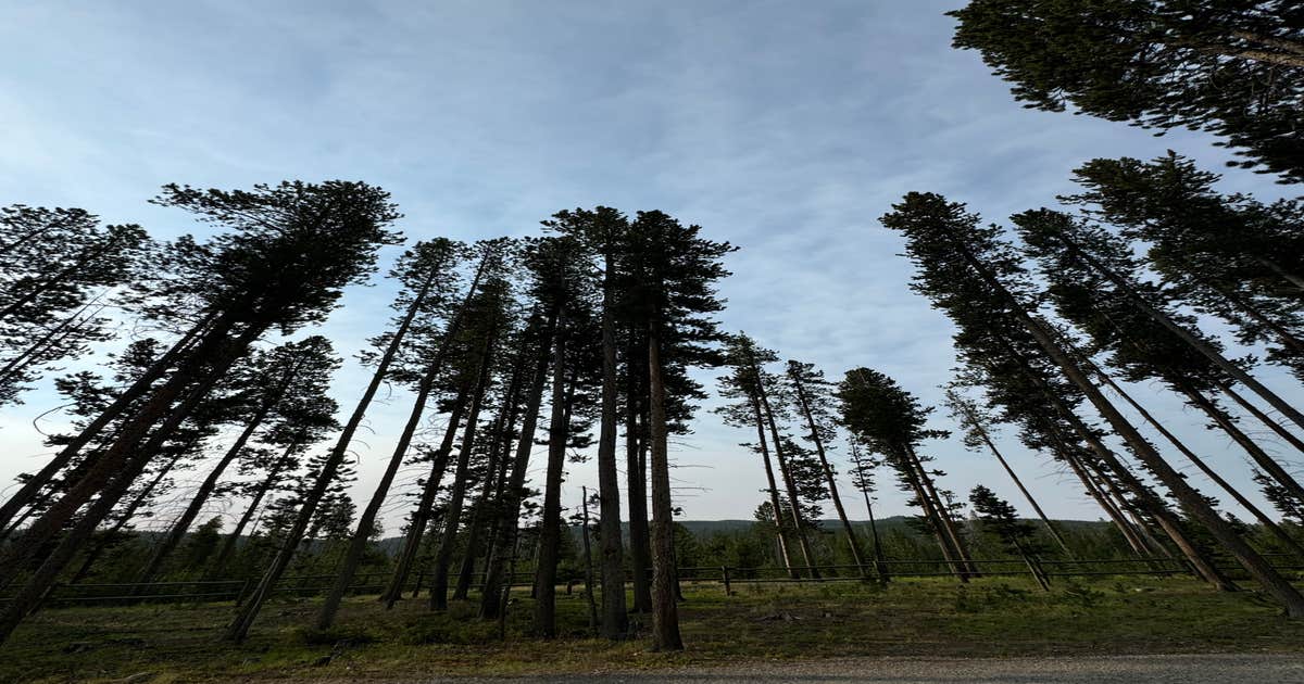 Camper-Submitted Photos of Lowland Campground