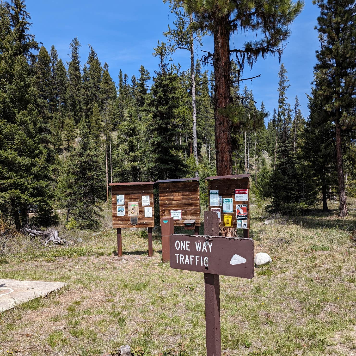 Martin Creek Camping | Sula, MT