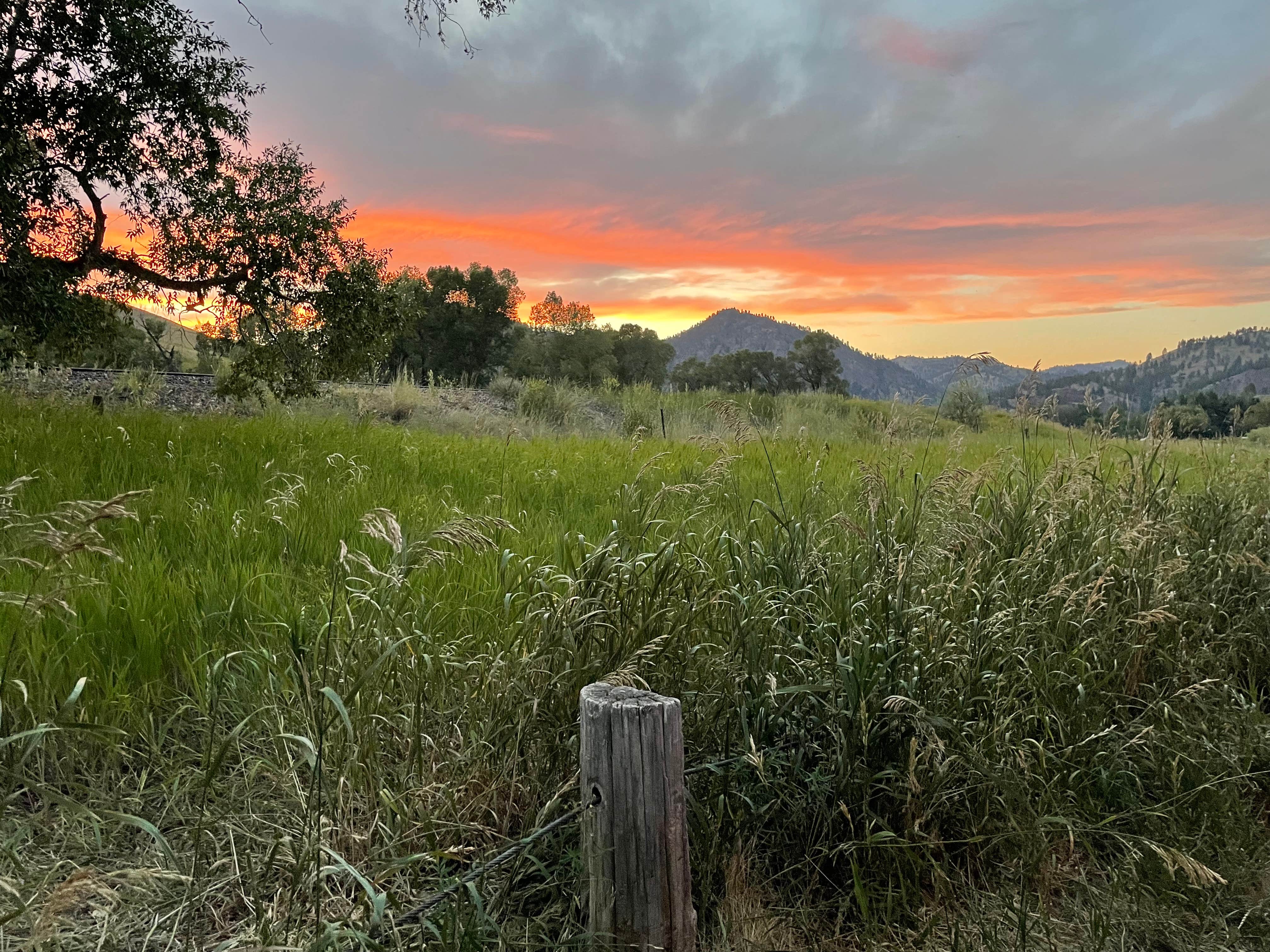 Mid-Canon Fishing Access Site Camping | Craig, MT