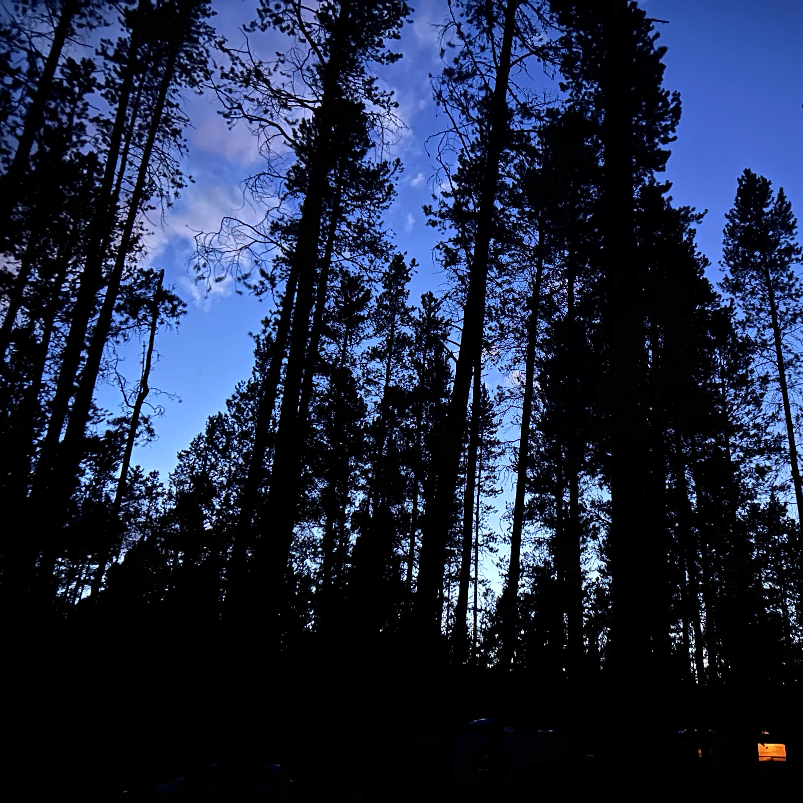 Rainbow Point Campground | West Yellowstone, Montana