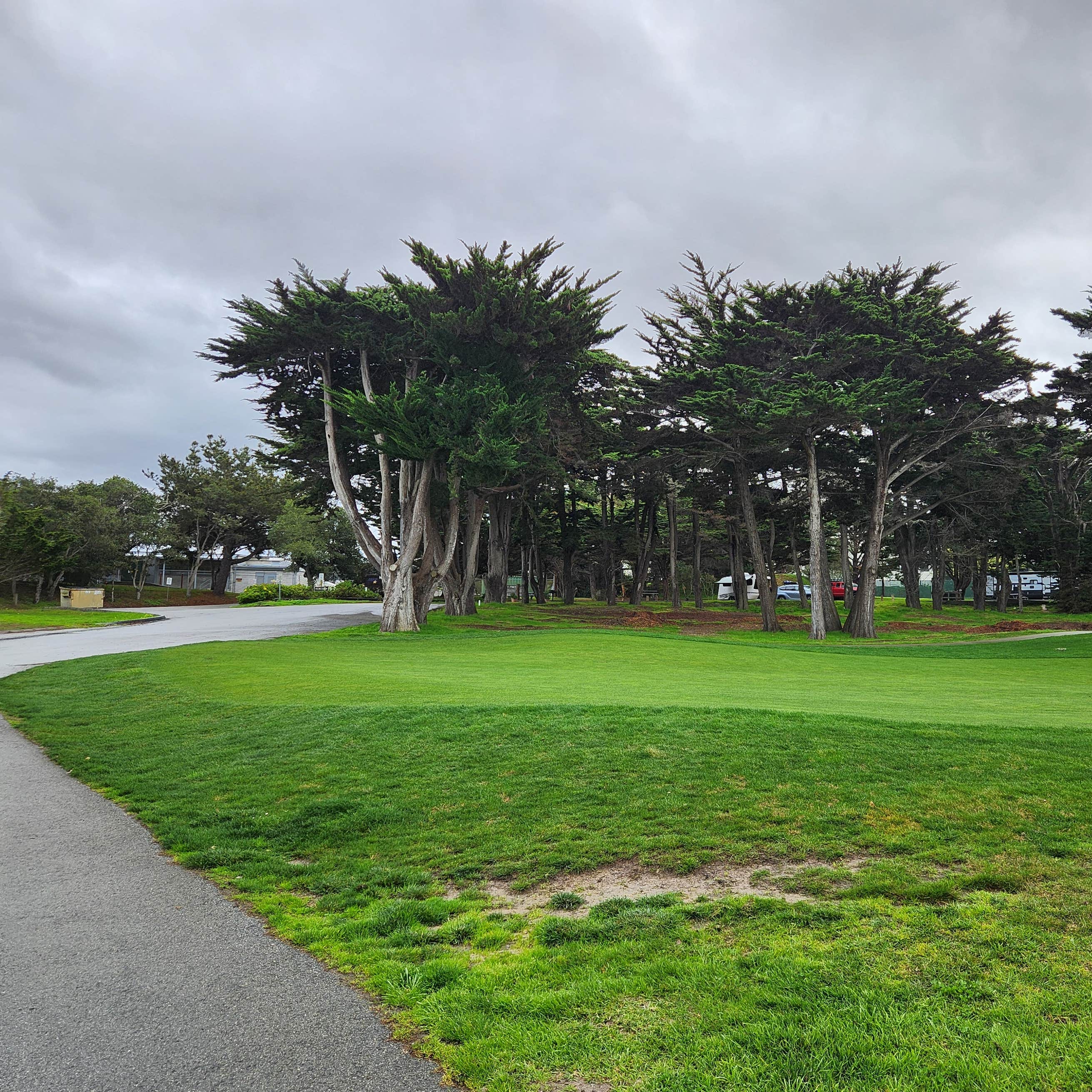 Monterey Pines RV Park - Military | Monterey, California