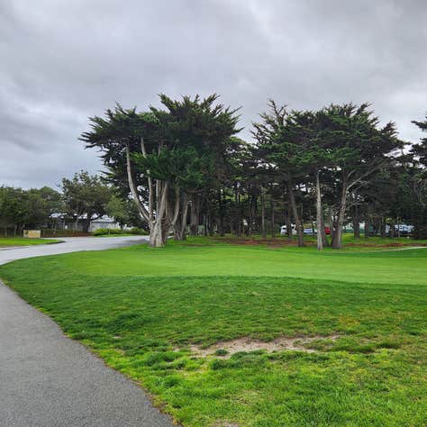 Monterey Pines RV Park - Military | Monterey, California