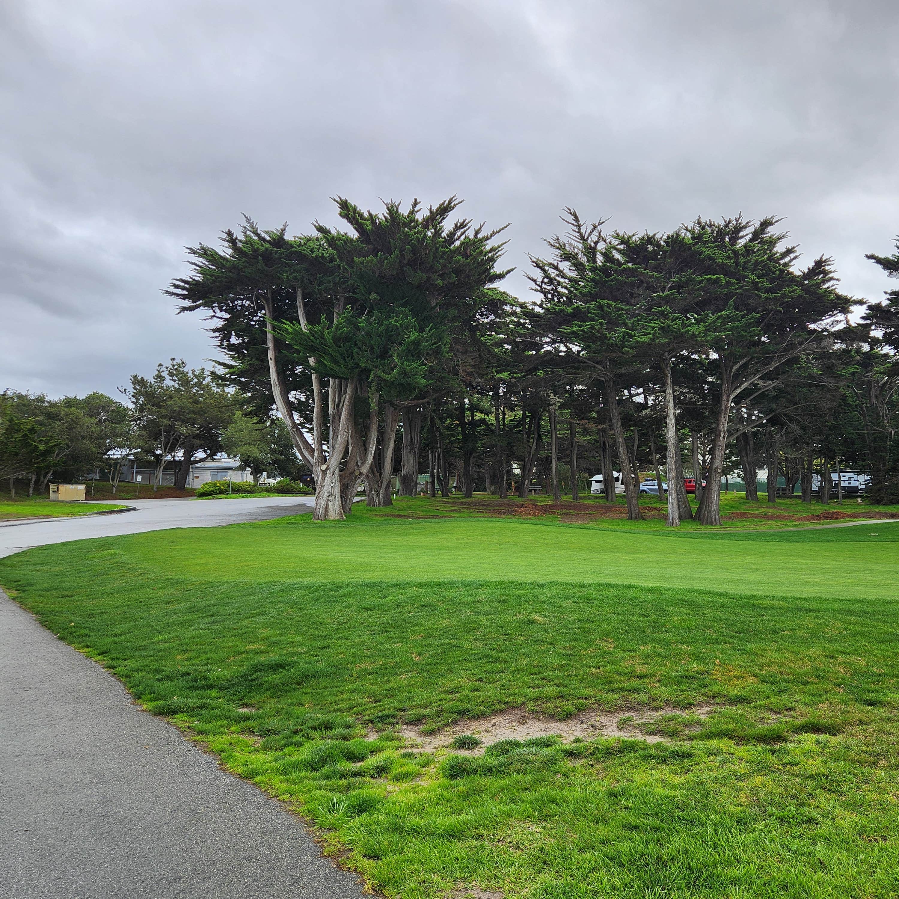 Monterey Pines RV Park - Military | Monterey, California