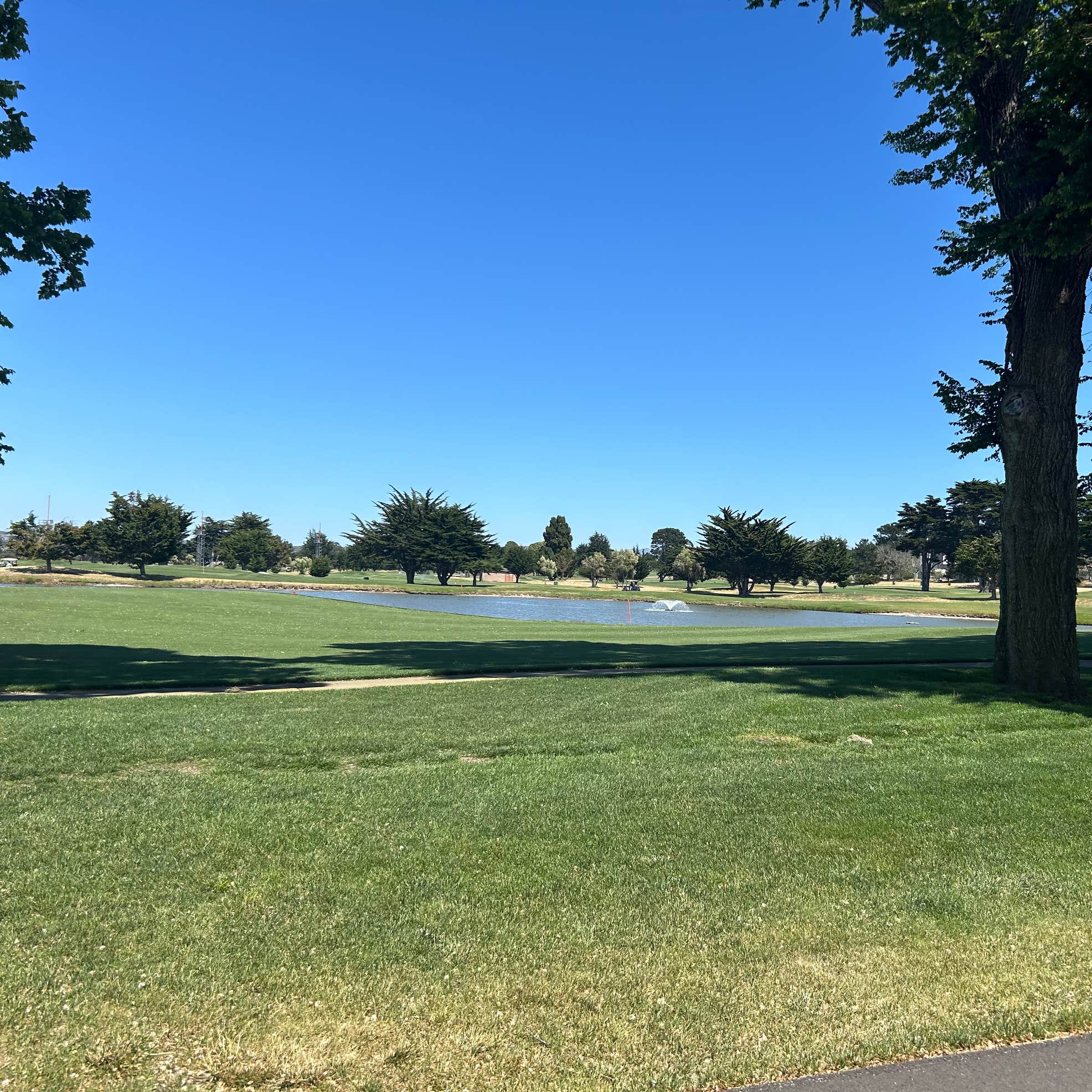 Monterey Pines RV Park - Military | Monterey, California