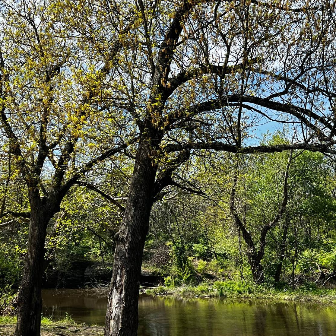 Montgomery State Fishing Lake Dispersed Camping | Independence, Kansas