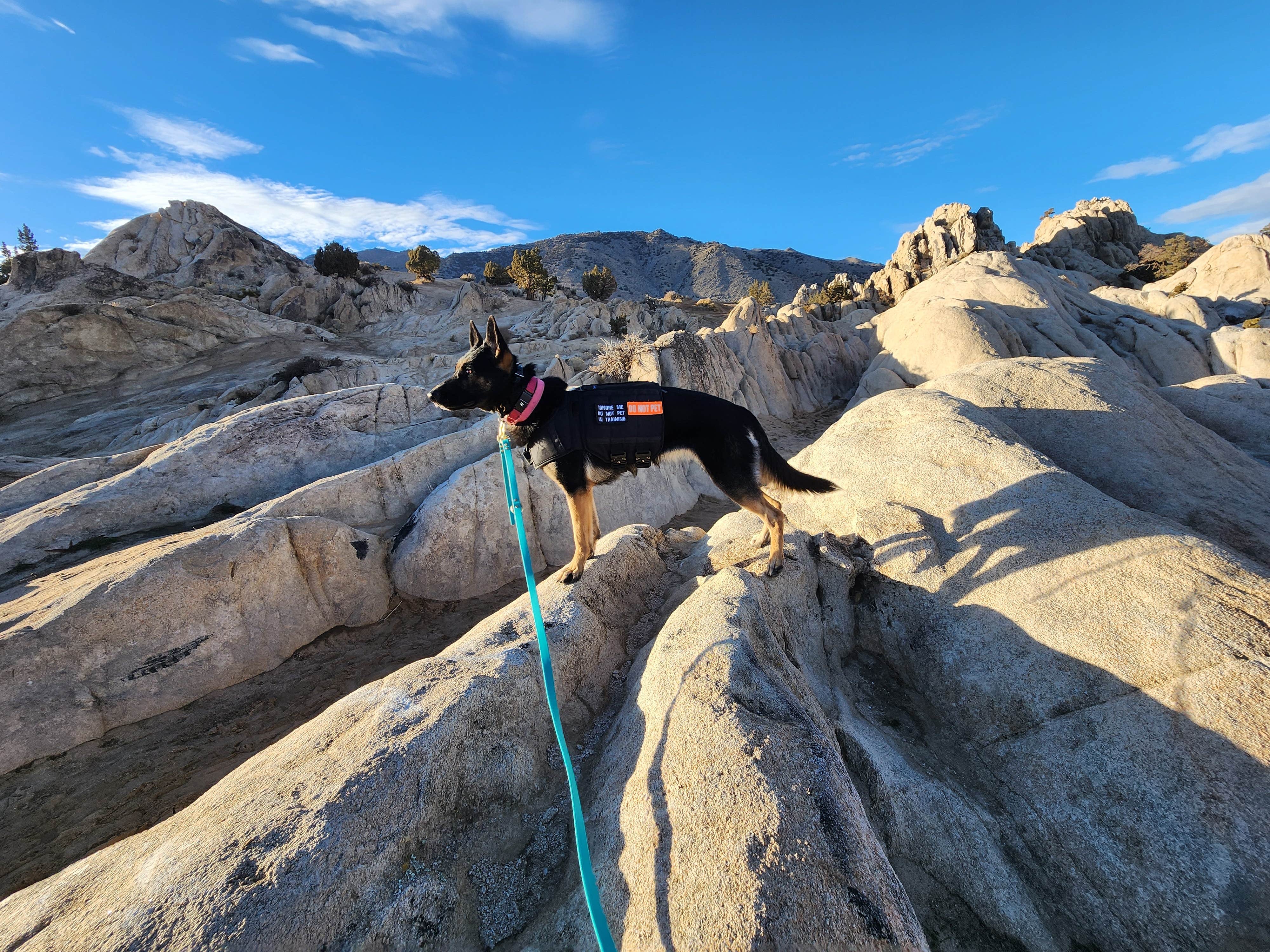 Moon Rocks Camp | Sun Valley, NV