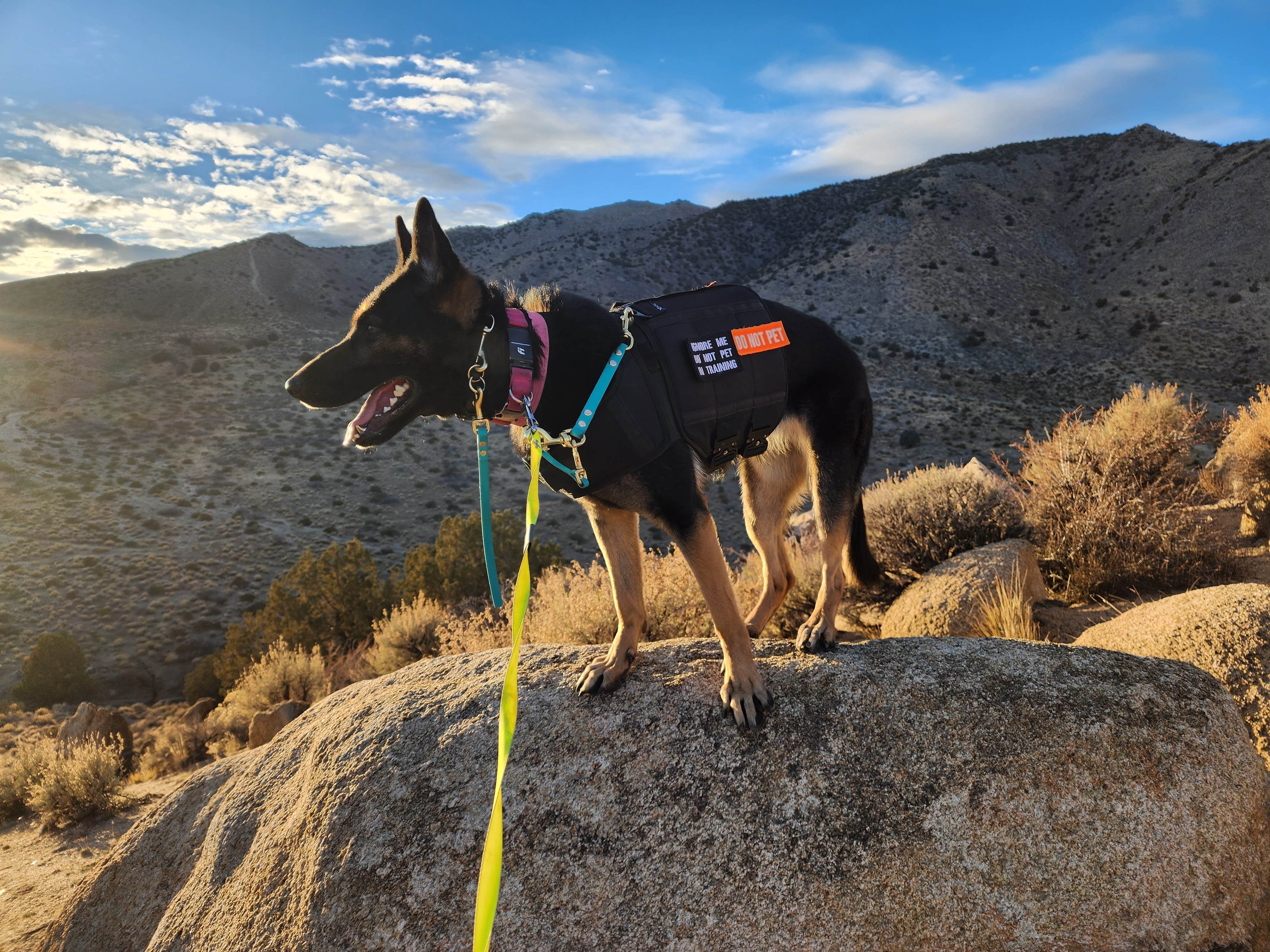 Moon Rocks Camp | Sun Valley, NV
