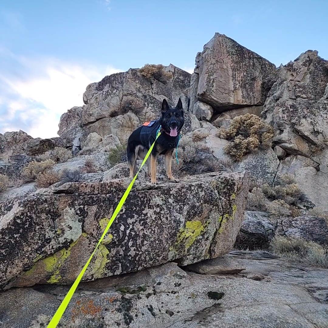 Moon Rocks Camp | Sun Valley, NV