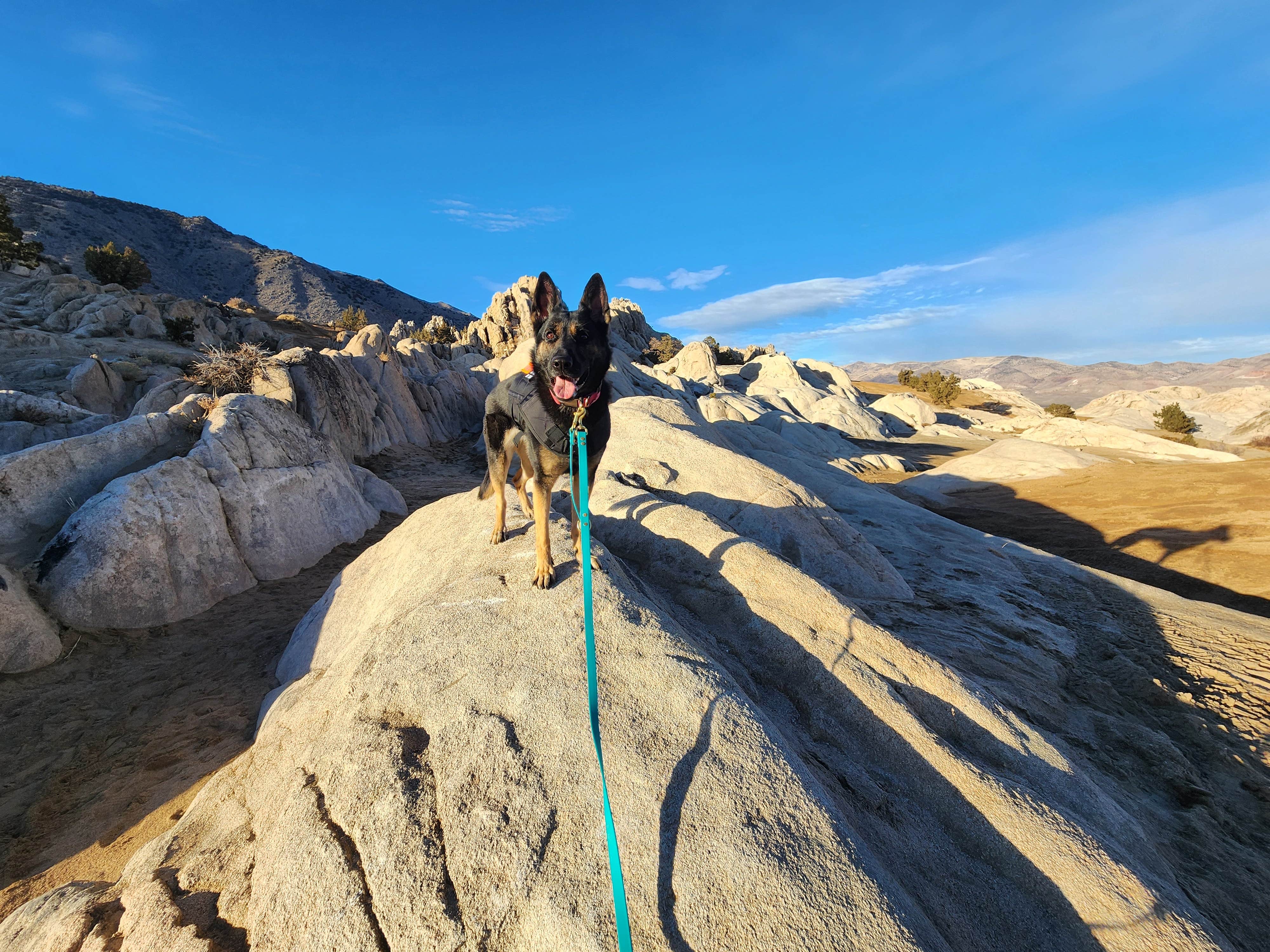 Moon Rocks Camp | Sun Valley, NV