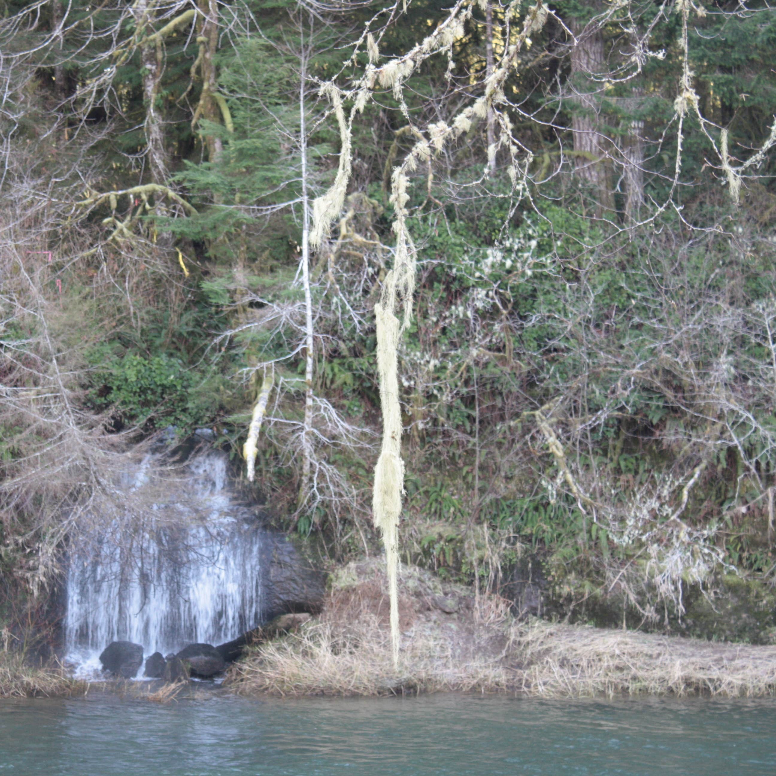 Moonshine Park Camping | Logsden, Oregon