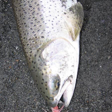 Moonshine Park Camping | Logsden, Oregon