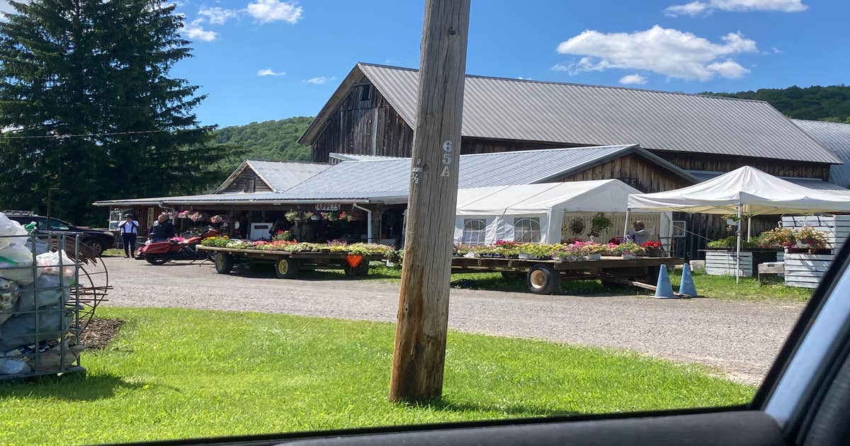 Morgan Hill Forest—Onondaga Trailhead campground | Truxton, New York