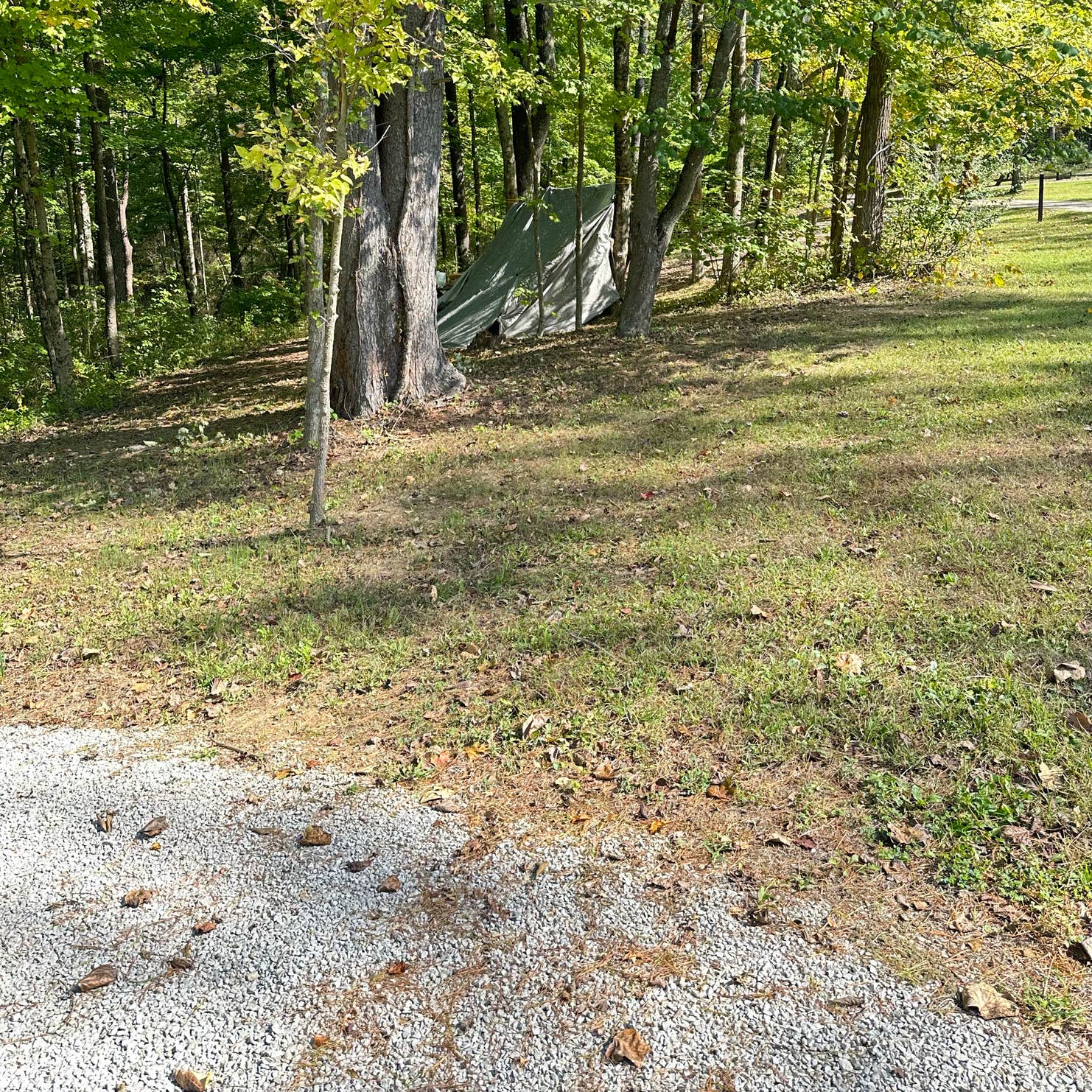 Oak Ridge Camping Area — Morgan-Monroe State Forest | Martinsville, Indiana