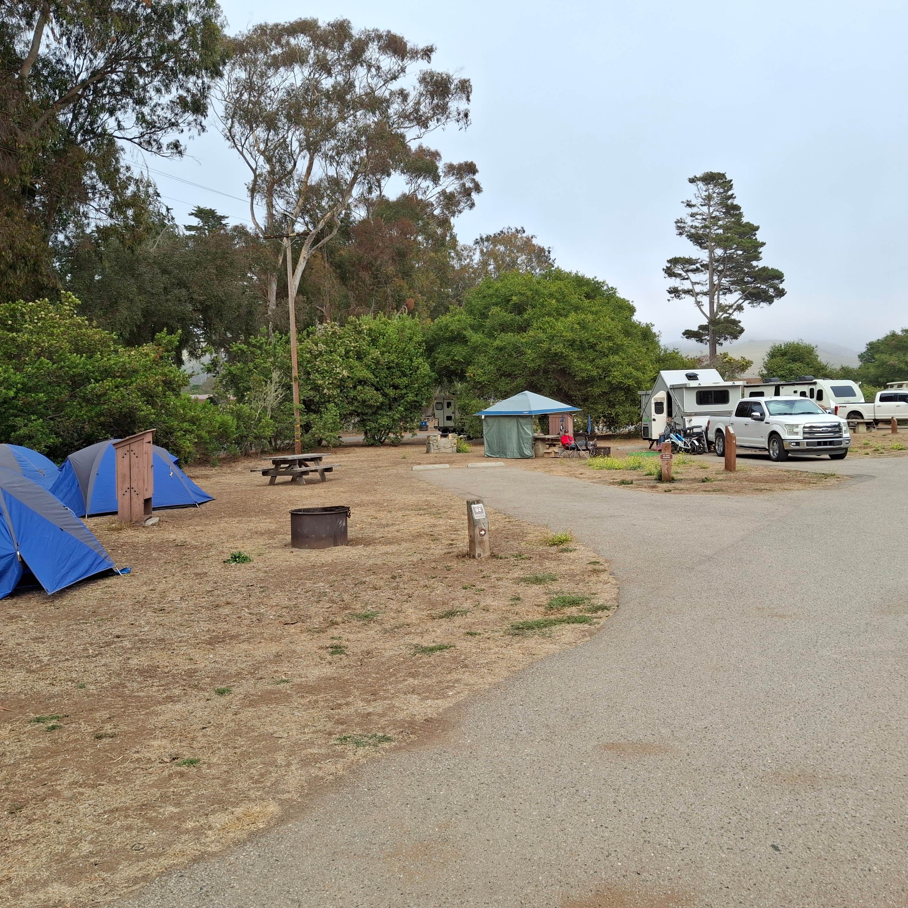 Morro Bay State Park Campground | Los Osos, California