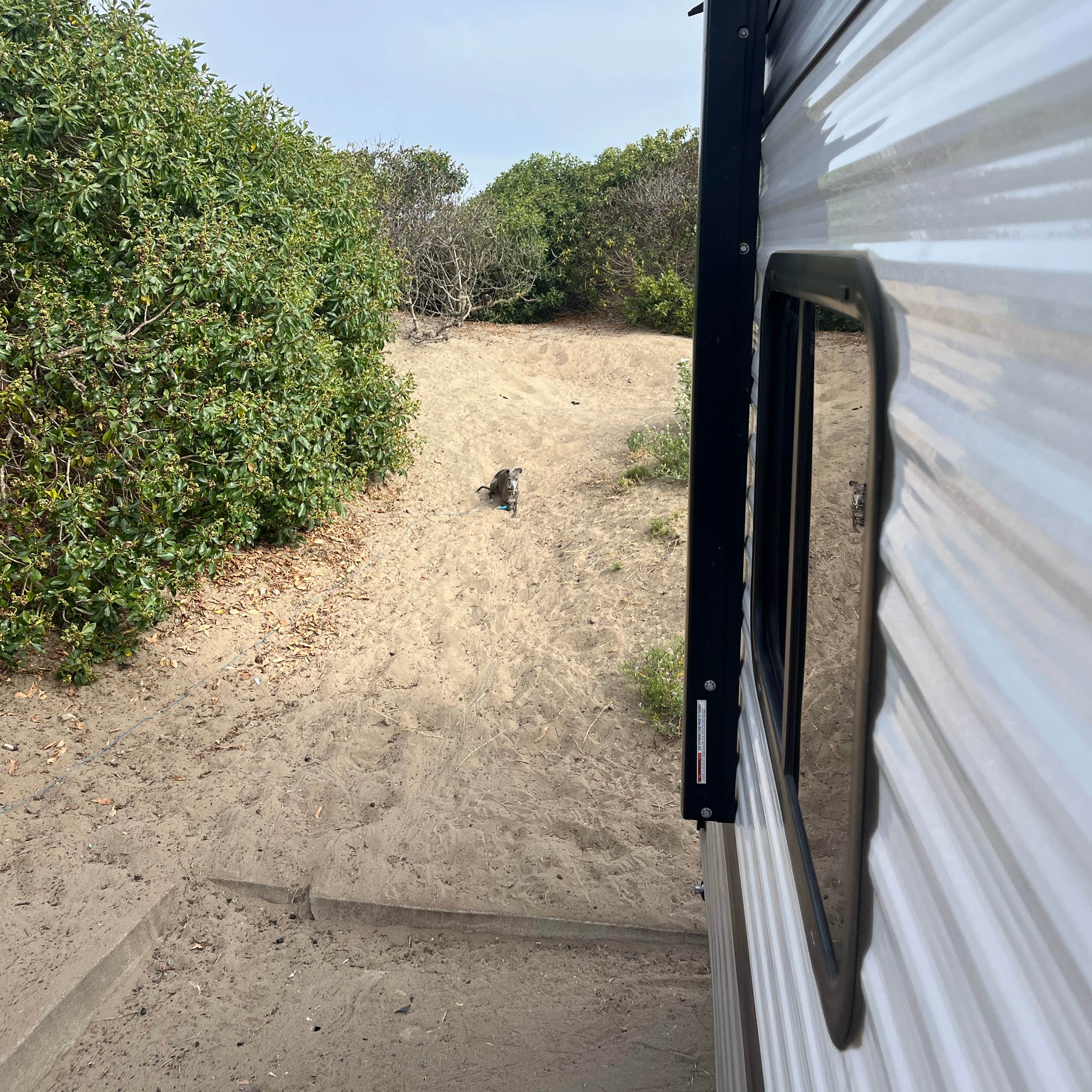Morro Strand State Beach Campground | Morro Bay, California