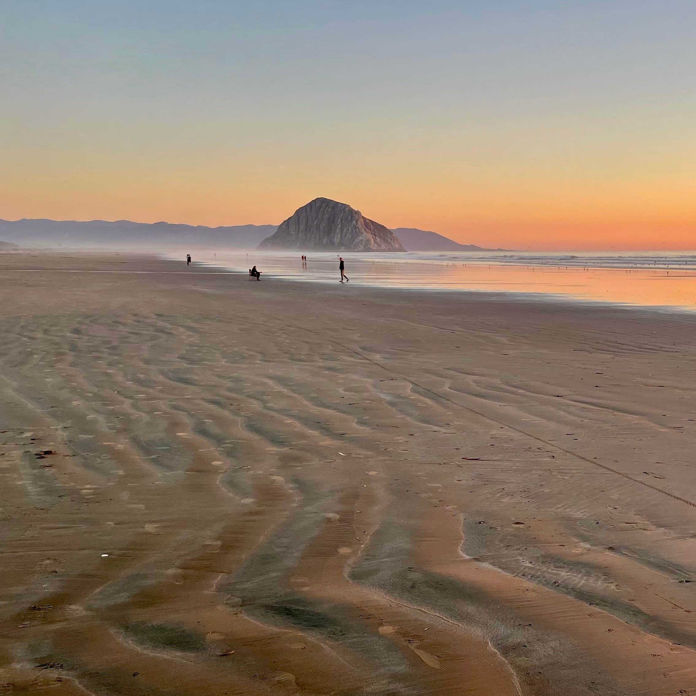 Morro Strand State Beach Campground | Morro Bay, California