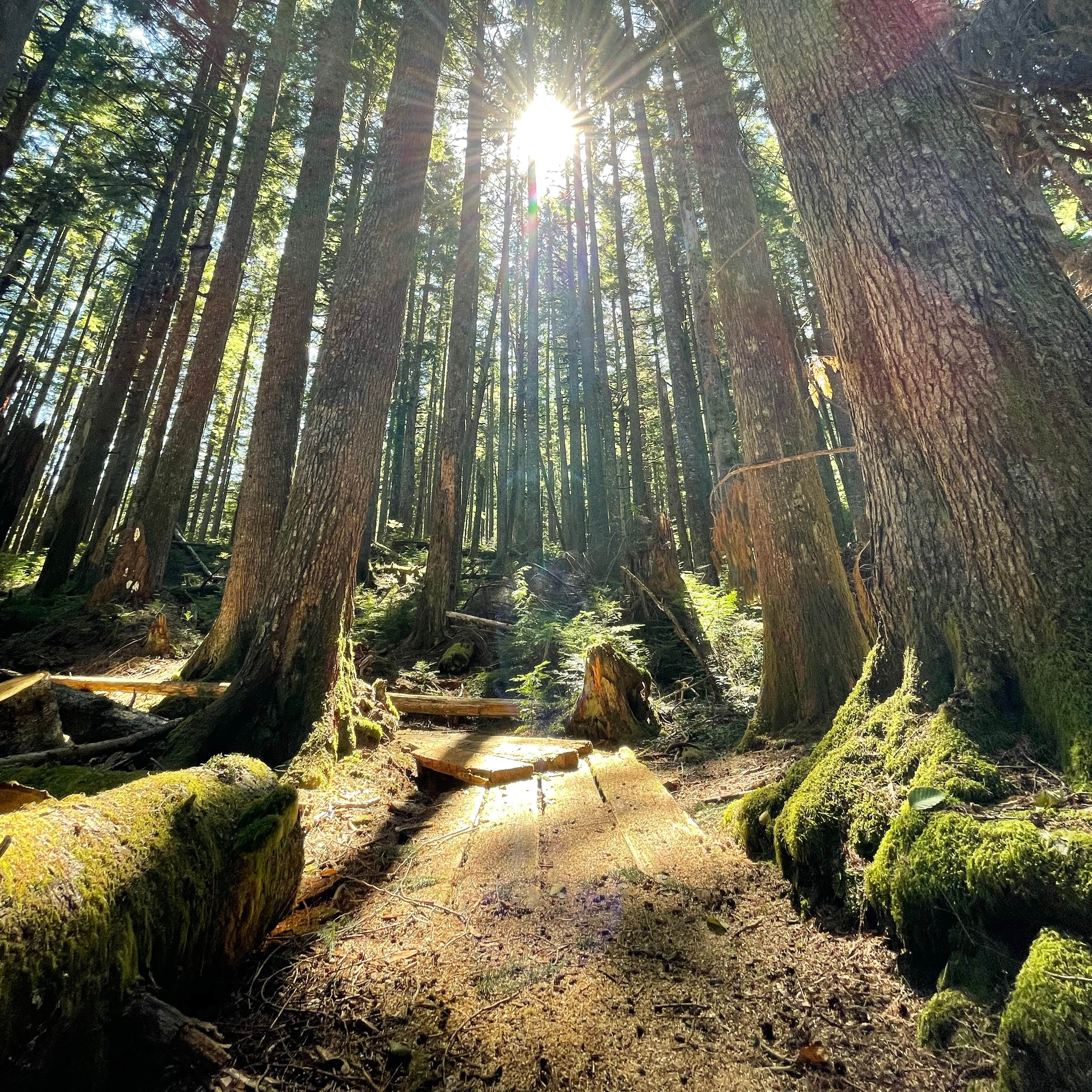 Tinkham Campground | Snoqualmie Pass, Washington