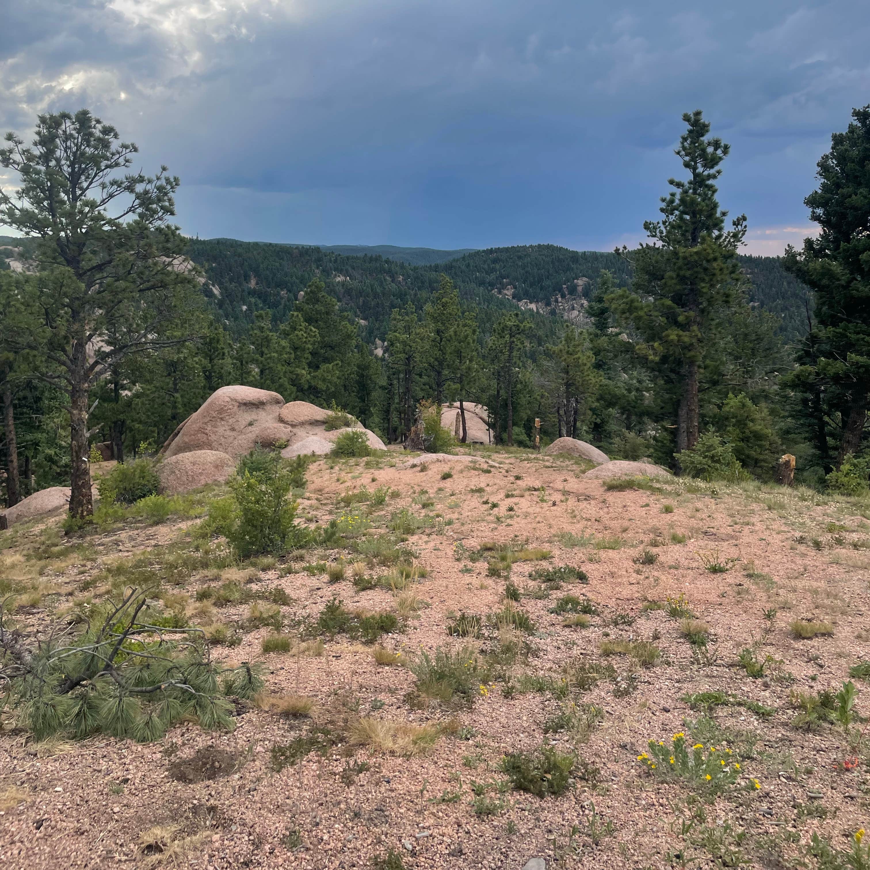 Mount Herman Road Dispersed Camping | Monument, Colorado