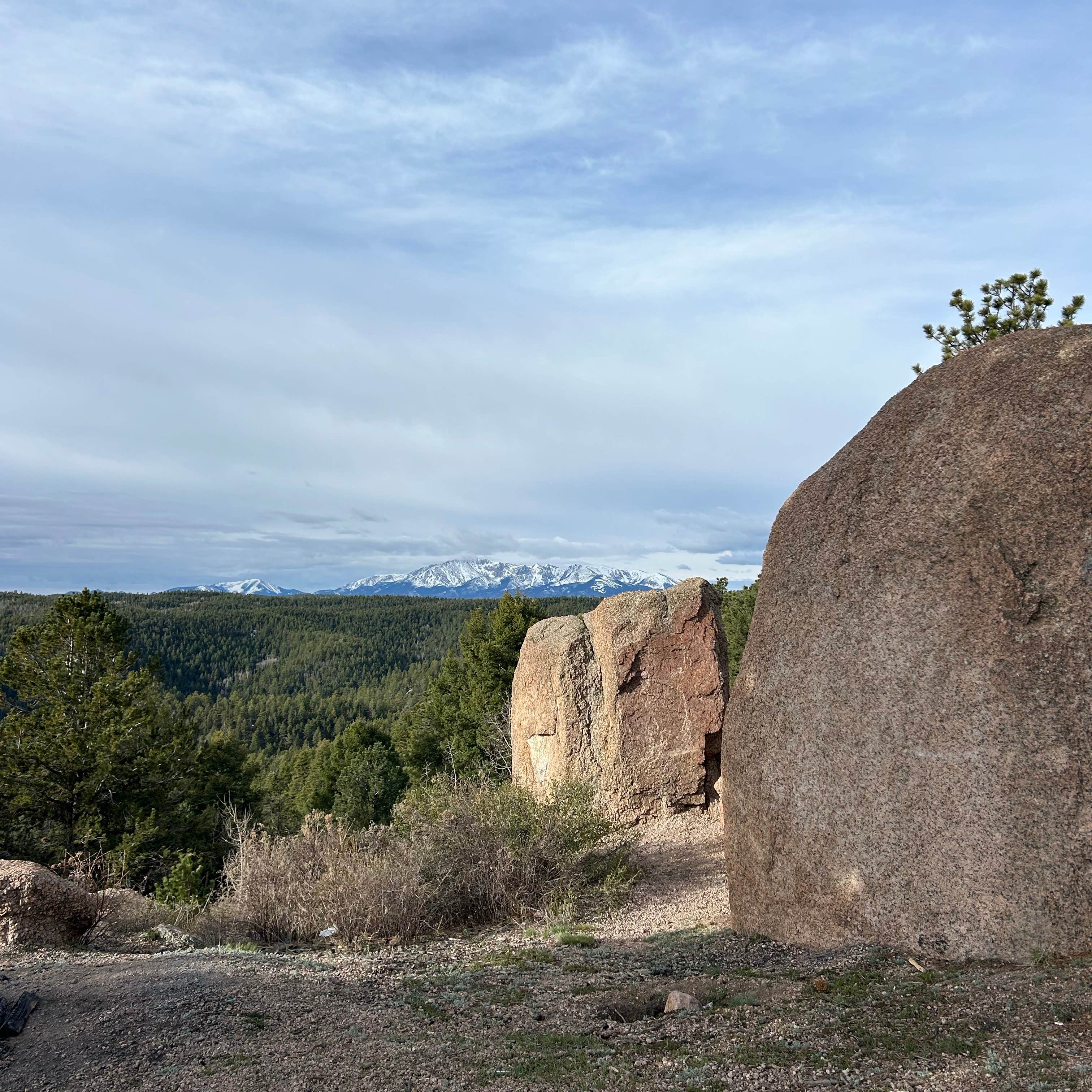 Mount Herman Road Dispersed Camping | Monument, CO