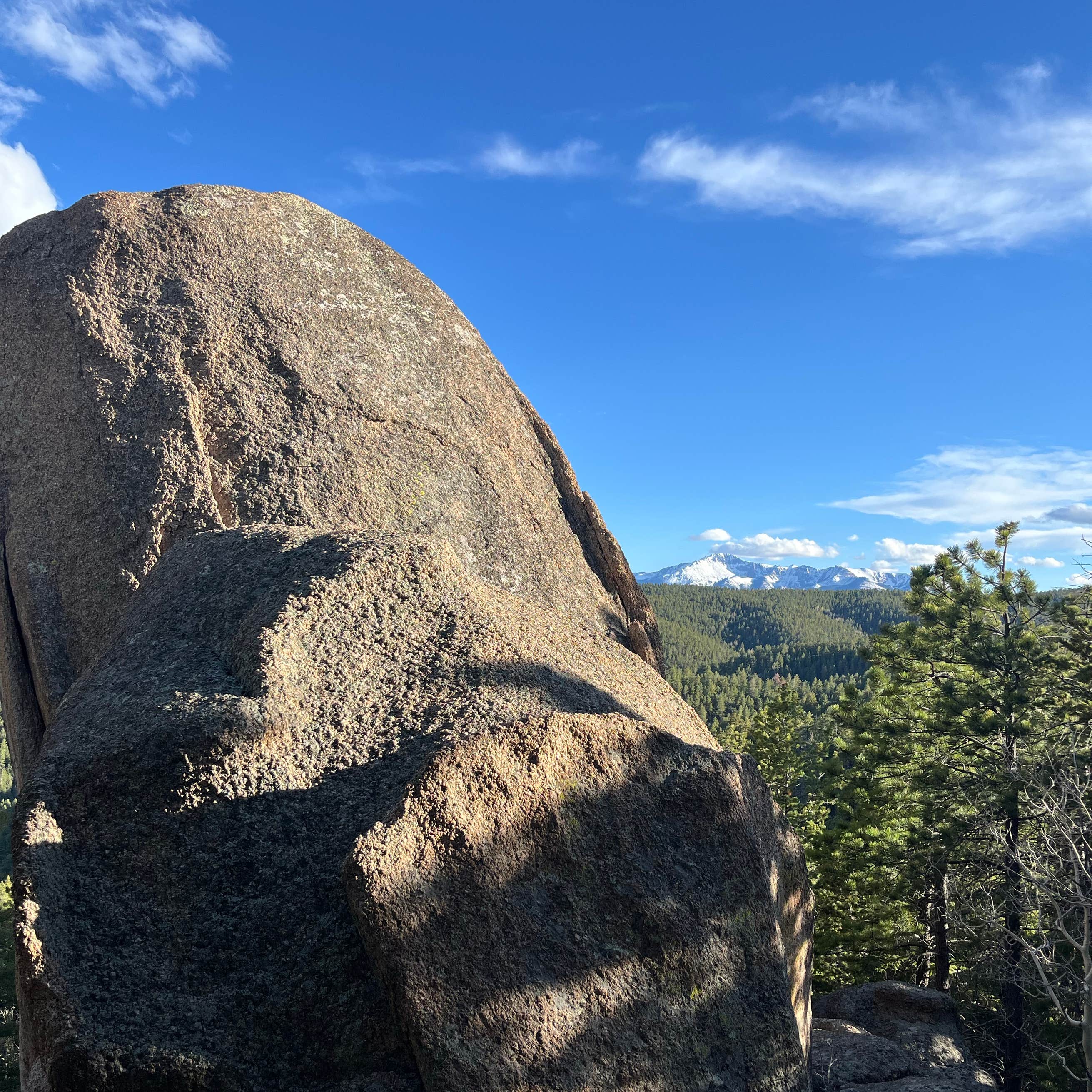 Mount Herman Road Dispersed Camping | Monument, Colorado