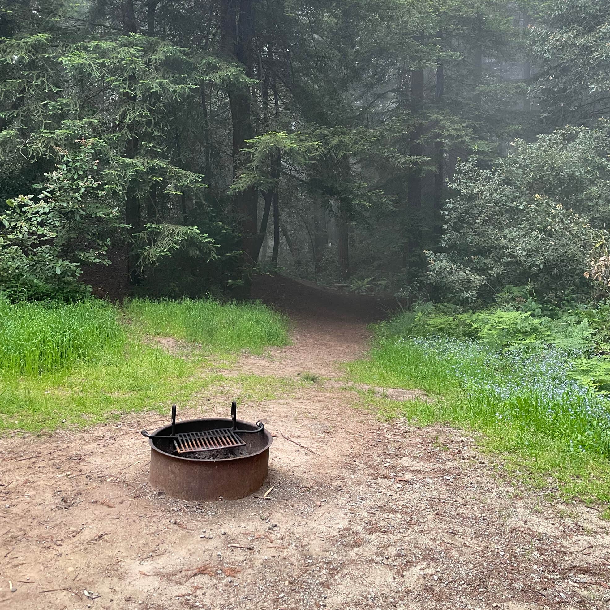 Mount Madonna Camping | Gilroy, CA